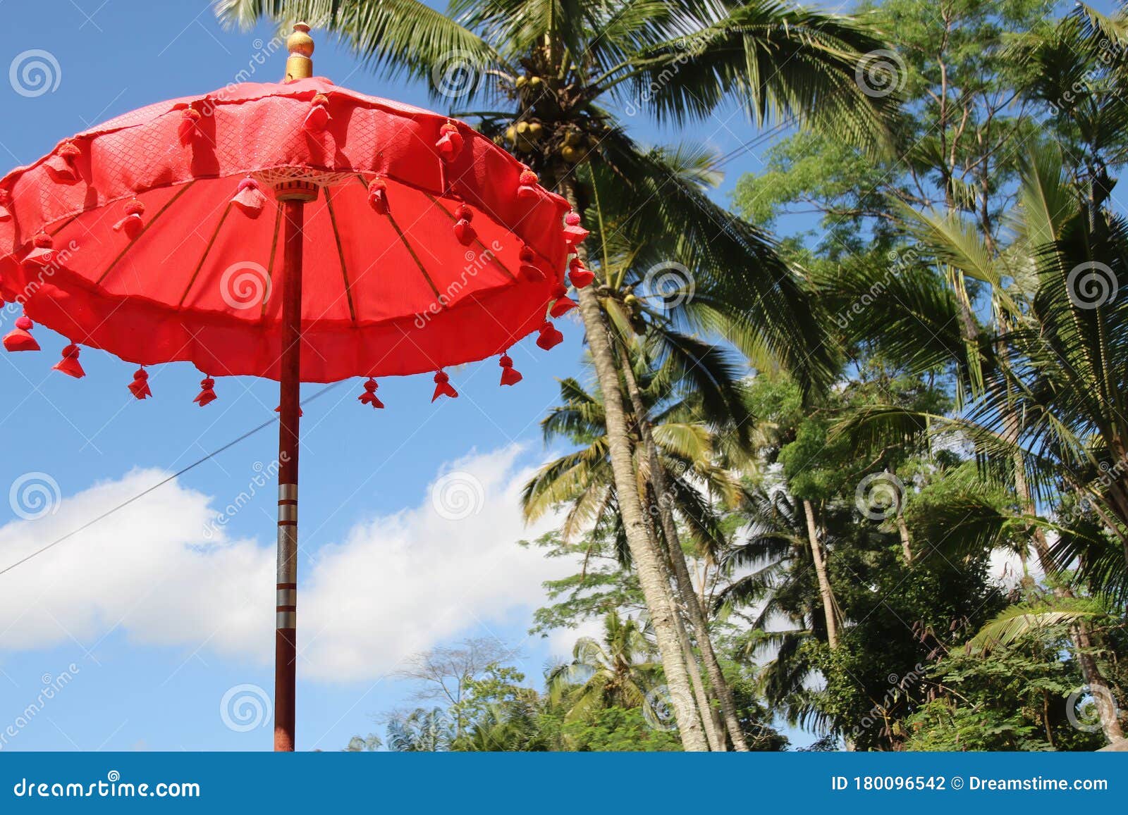 Balinese Umbrella in Green Rice Fields Stock Photo - Image of bali ...