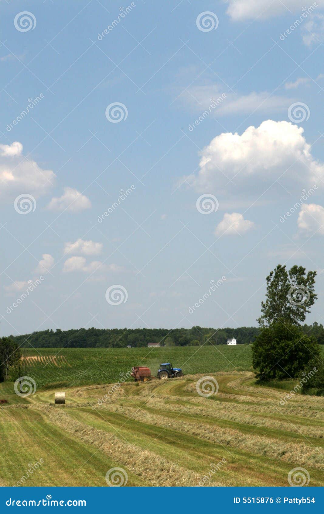 Baling Hay Picture. Image: 5515876