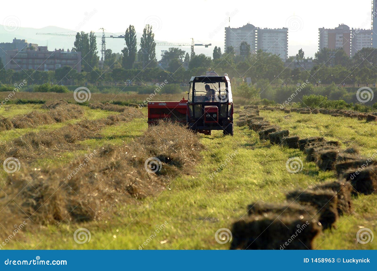 Baling hay in field stock image. Image of haying, bale - 1458963