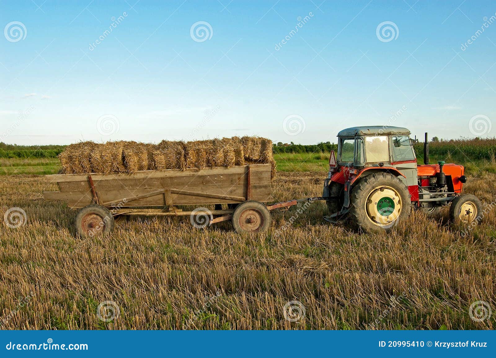 Baling hay in filed stock photo. Image of agriculture - 20995410