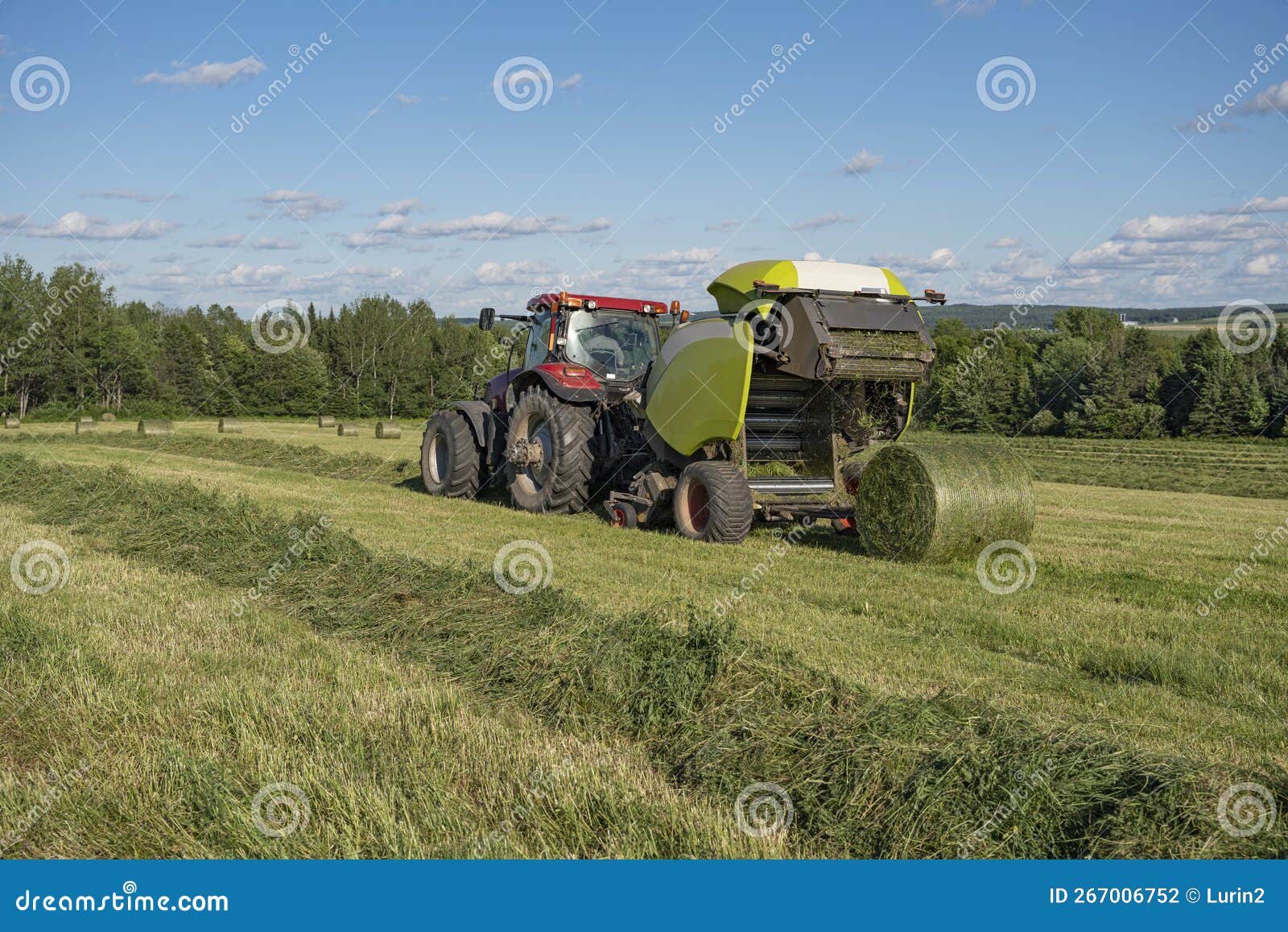Baling Hay Baling Or Pression Hay Press Using Round Hay Baler. Stock ...