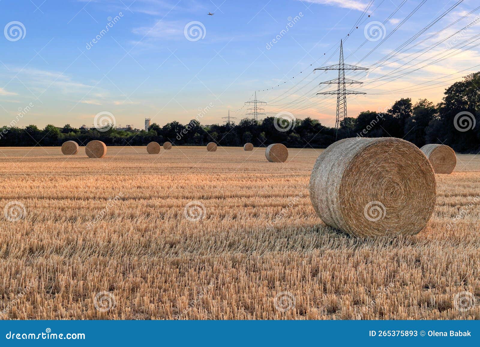Field of Hay Bales. Harvesting at the End of the Summer. Stock Image ...