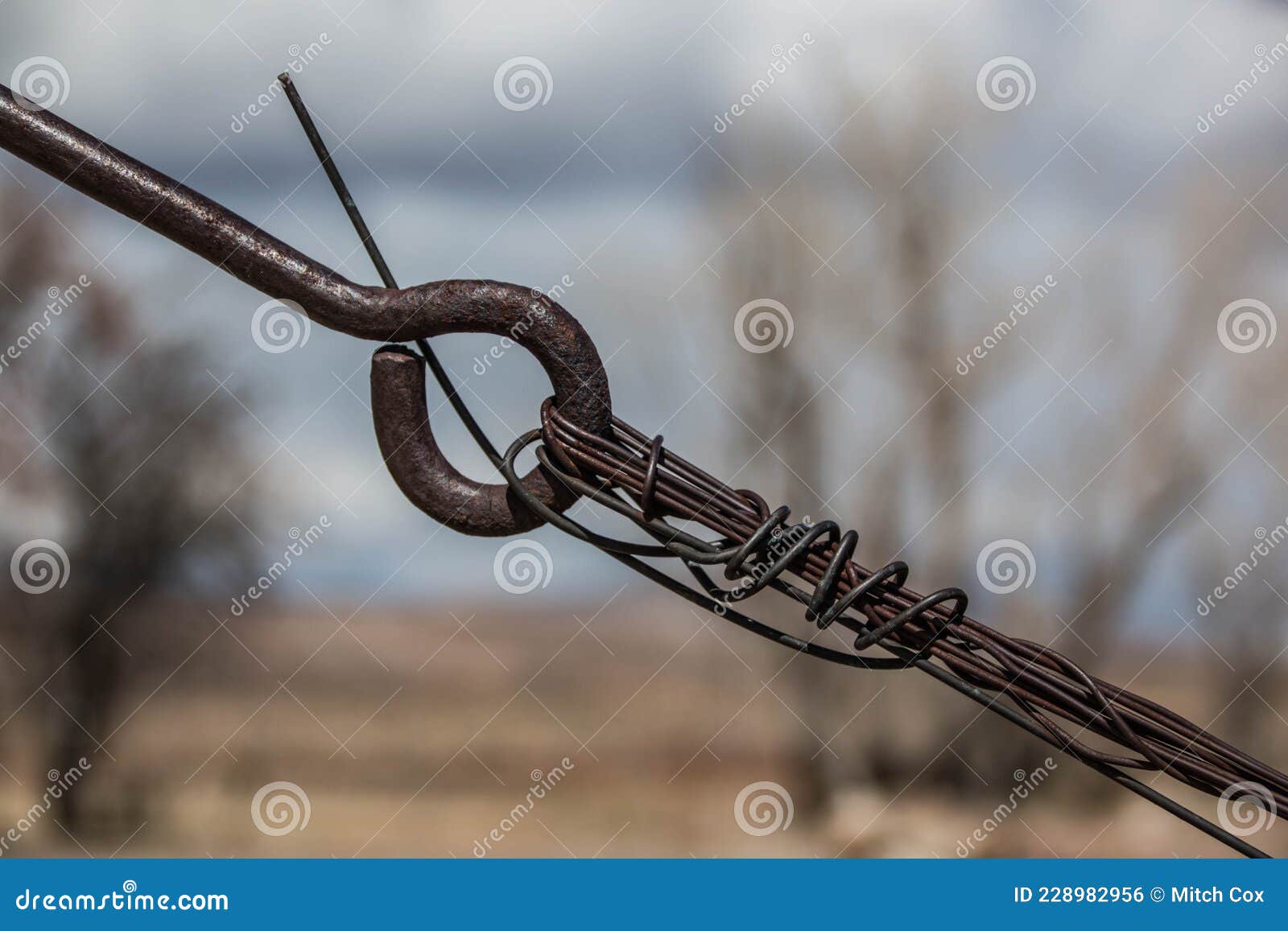 Gate Wire and Eye stock photo. Image of attached, line - 228982956