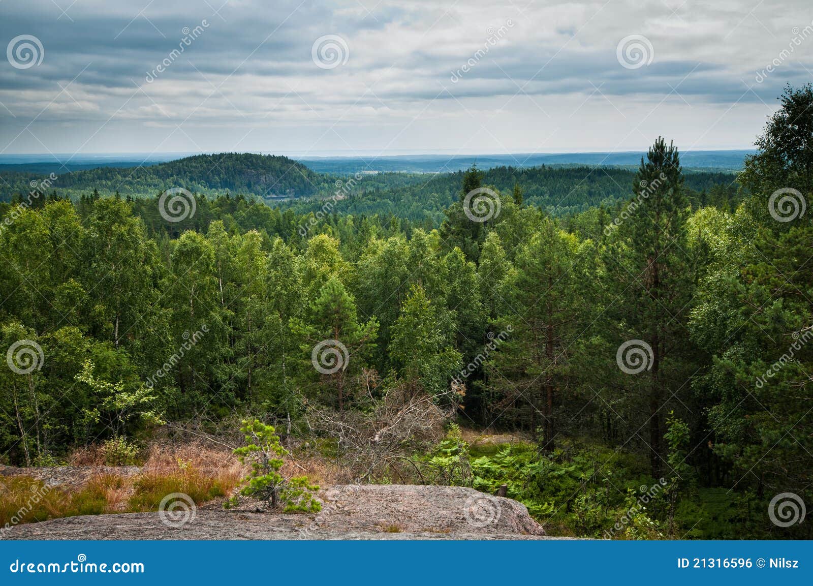 Dalsland Region Stock Photos - Free & Royalty-Free Stock Photos from ...
