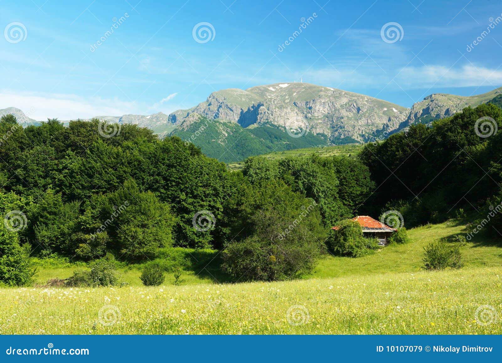Balkan mountains stock image. Image of botev, park, wooded - 10107079