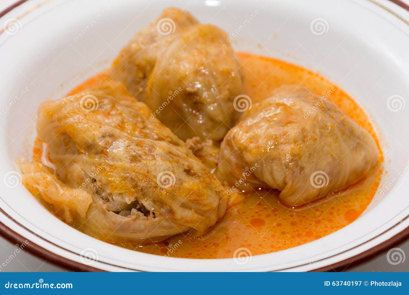 Balkan Sarma Meal Served on the Plate Stock Image - Image of healthy ...