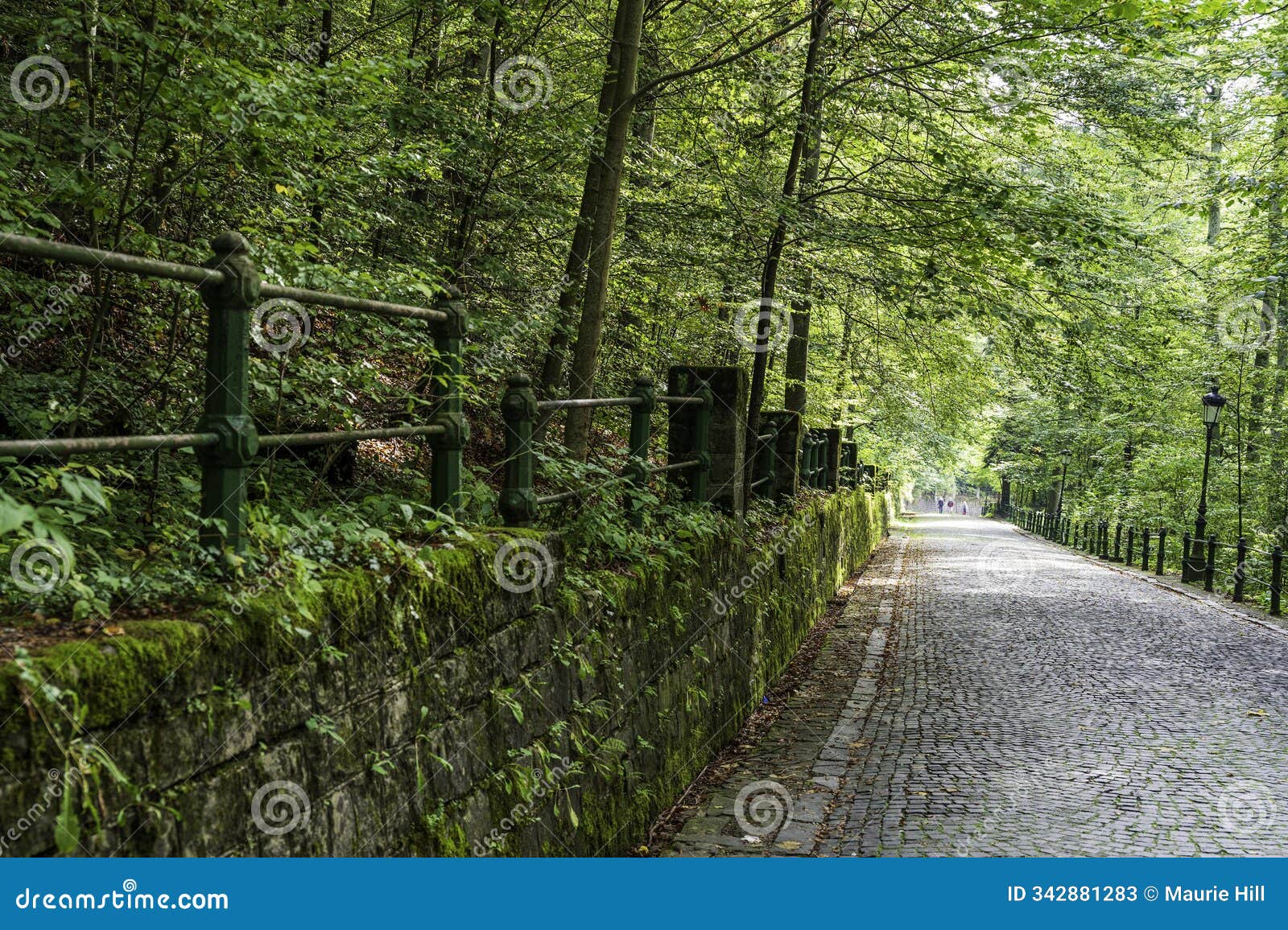 Old Stone Fence Posts beside a Narrow Roadway Stock Image - Image of ...