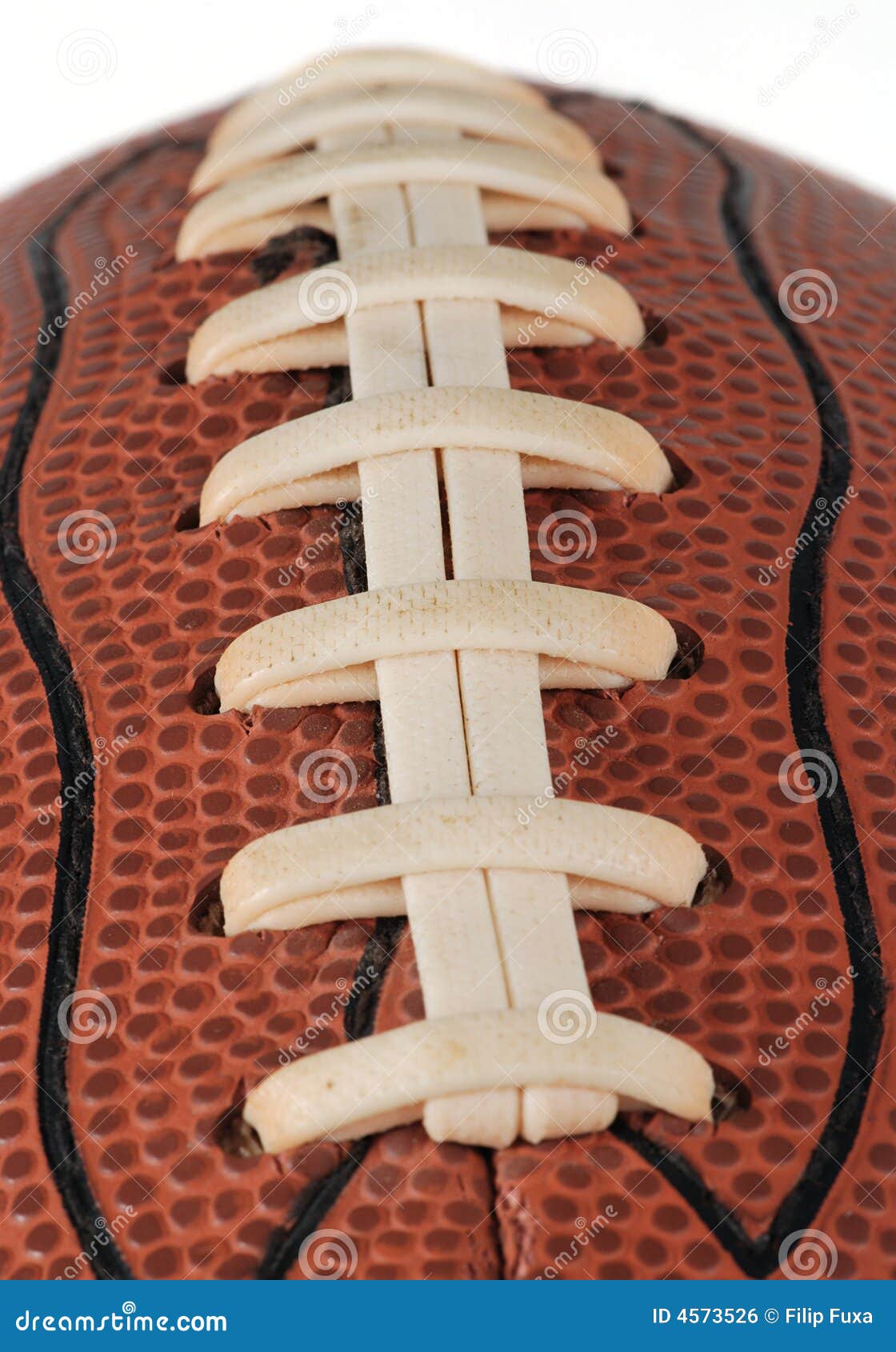 Pig Rugby Stock Photos - Free & Royalty-Free Stock Photos from Dreamstime