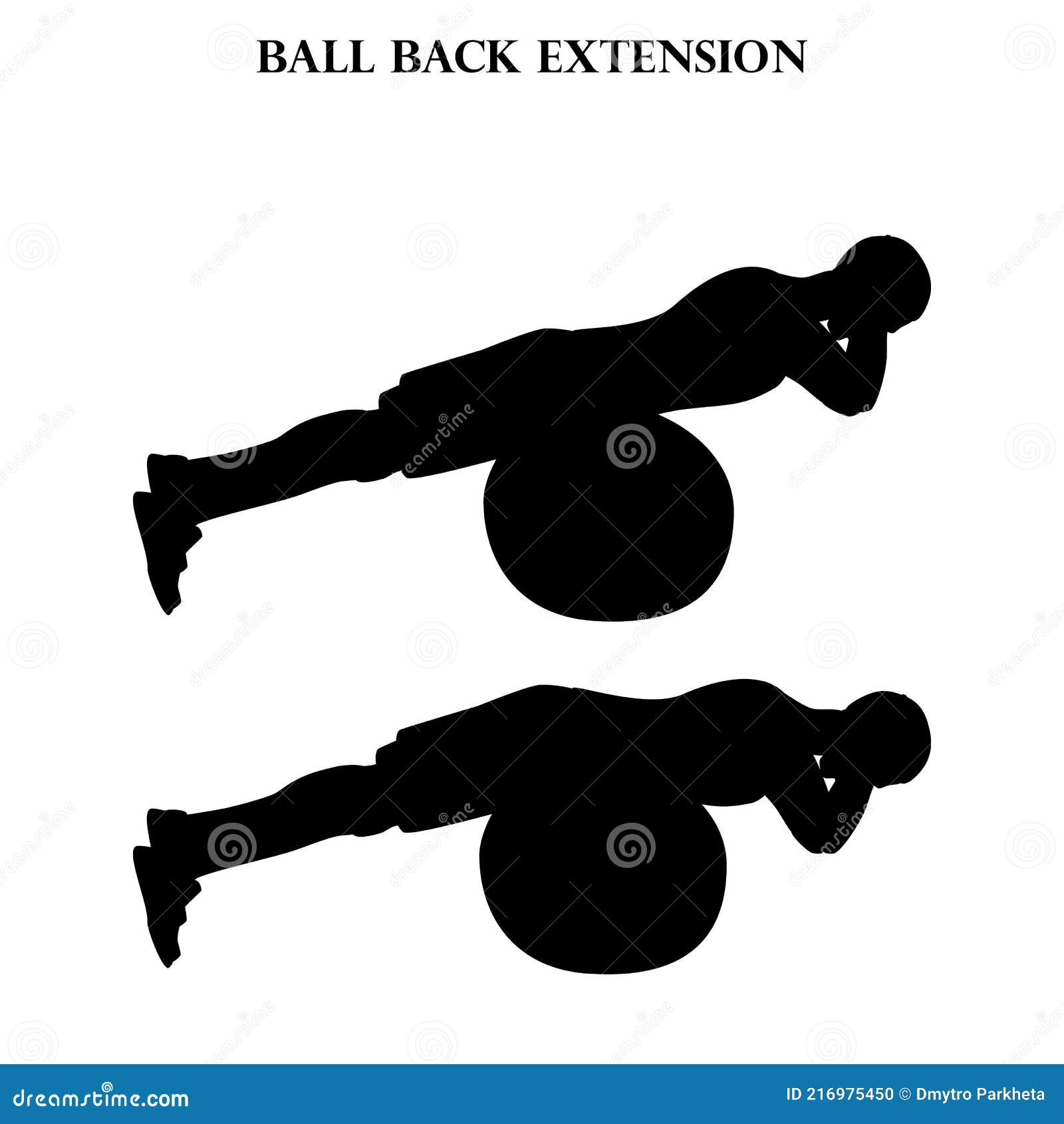 Ball Back Extension Exercise Strength Workout Vector Illustration ...