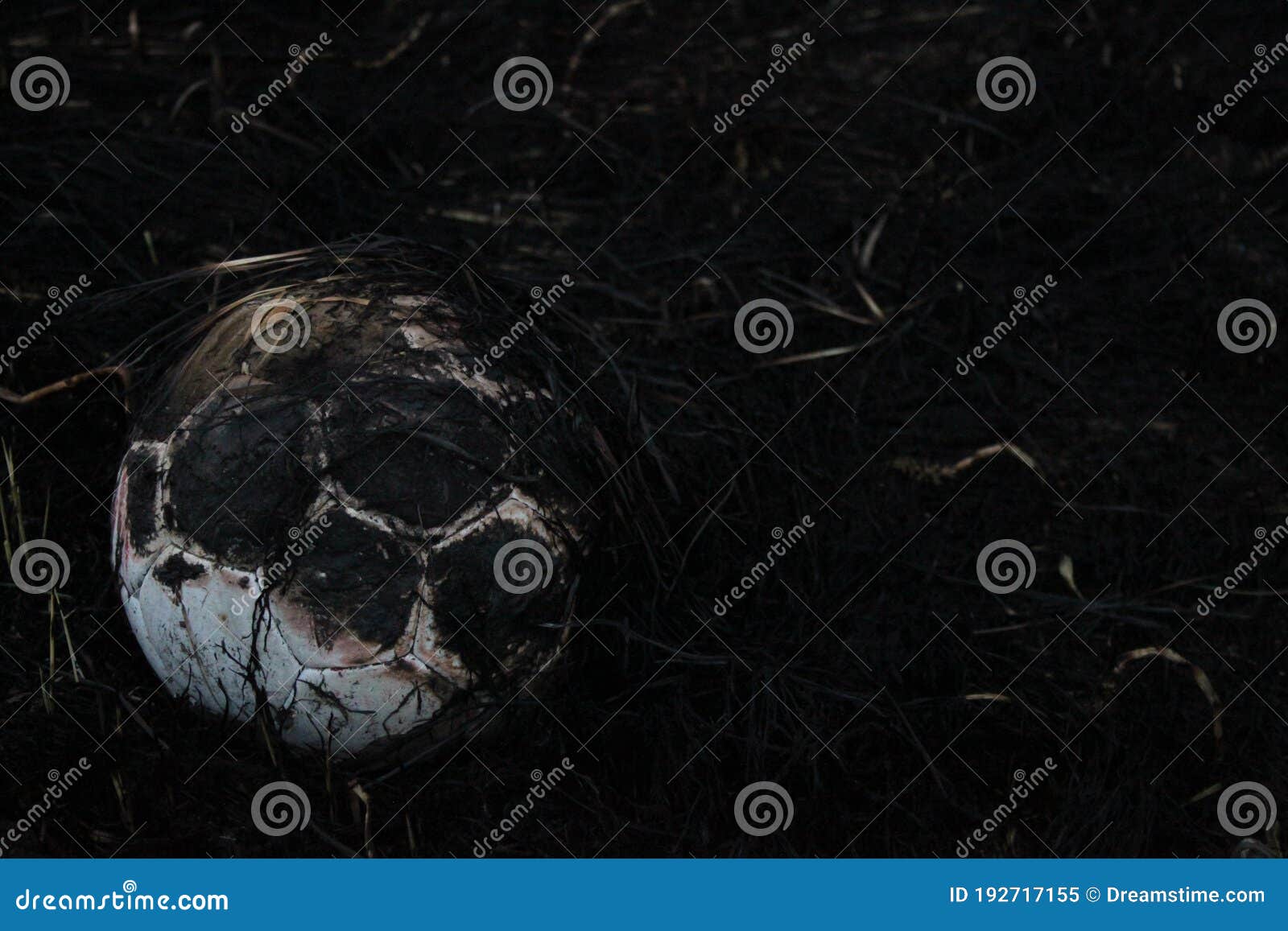 Ball on burnt lawn stock image. Image of burnt, circle - 192717155