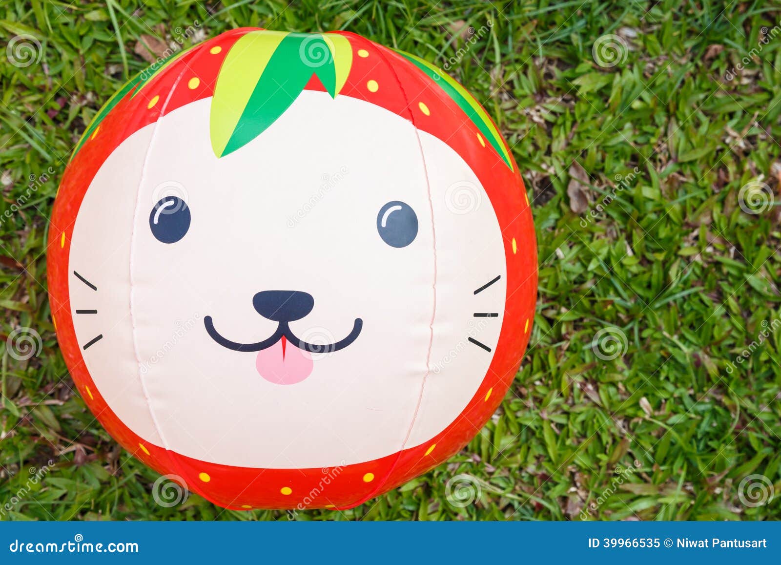 Ball cat face stock image. Image of facial, happy, design - 39966535