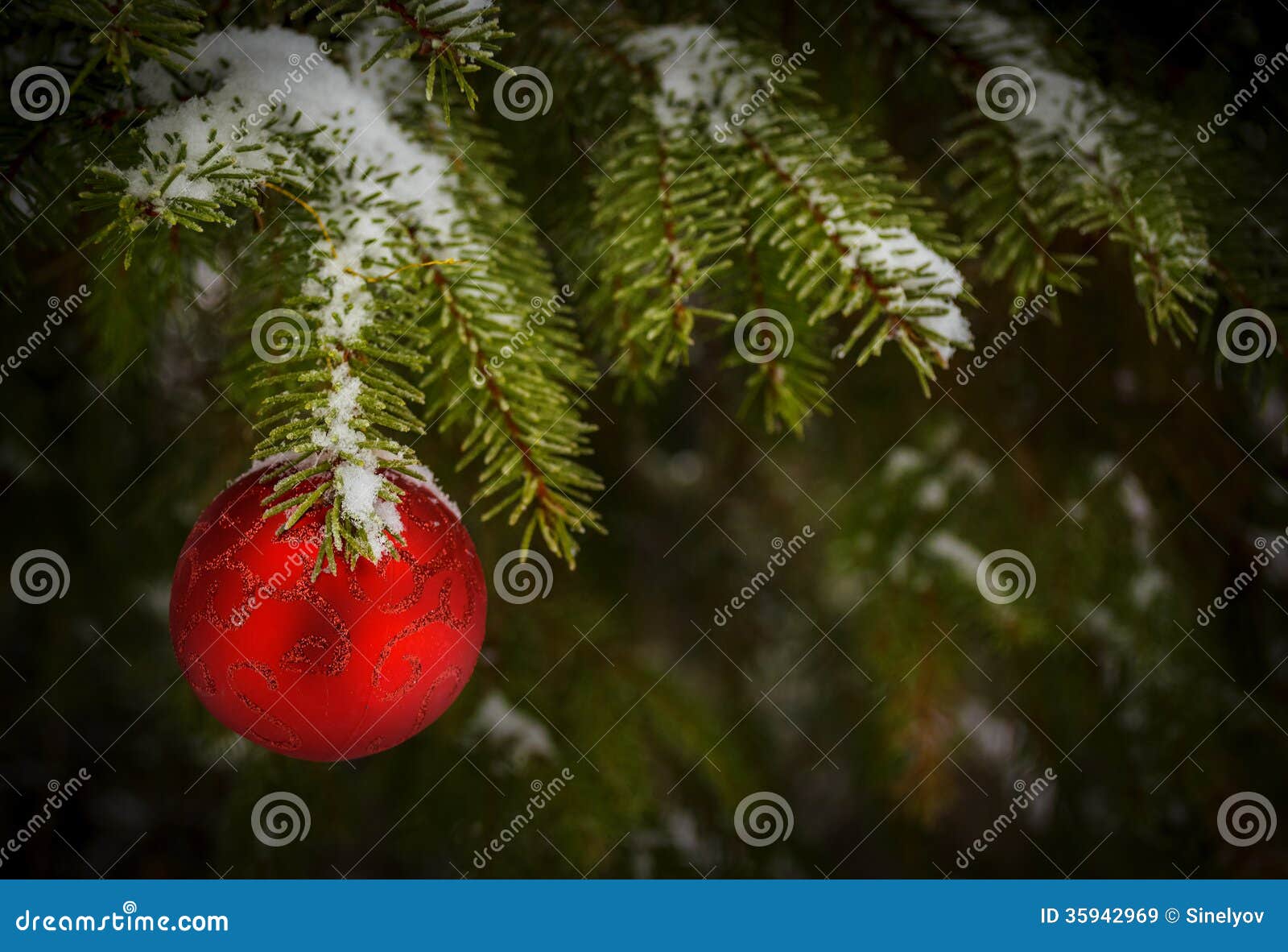 Ball on christmas tree stock image. Image of bedeck, celebration - 35942969