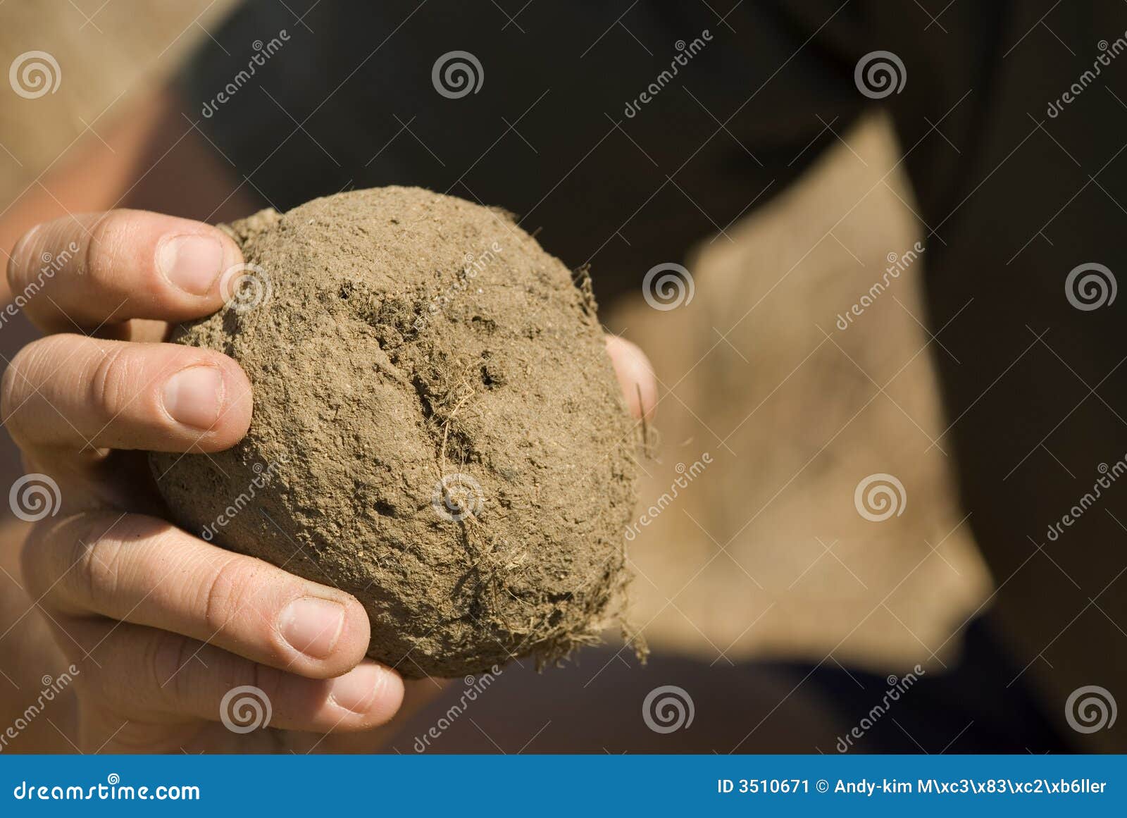 Scats Stock Photos - Free & Royalty-Free Stock Photos from Dreamstime