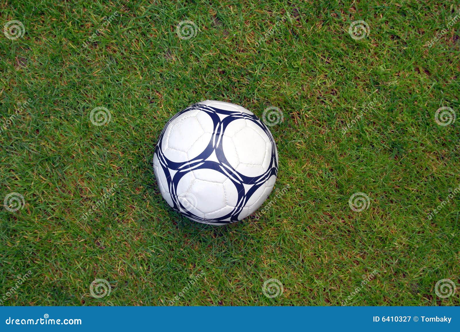 Ball on e grass stock image. Image of target, team, play - 6410327