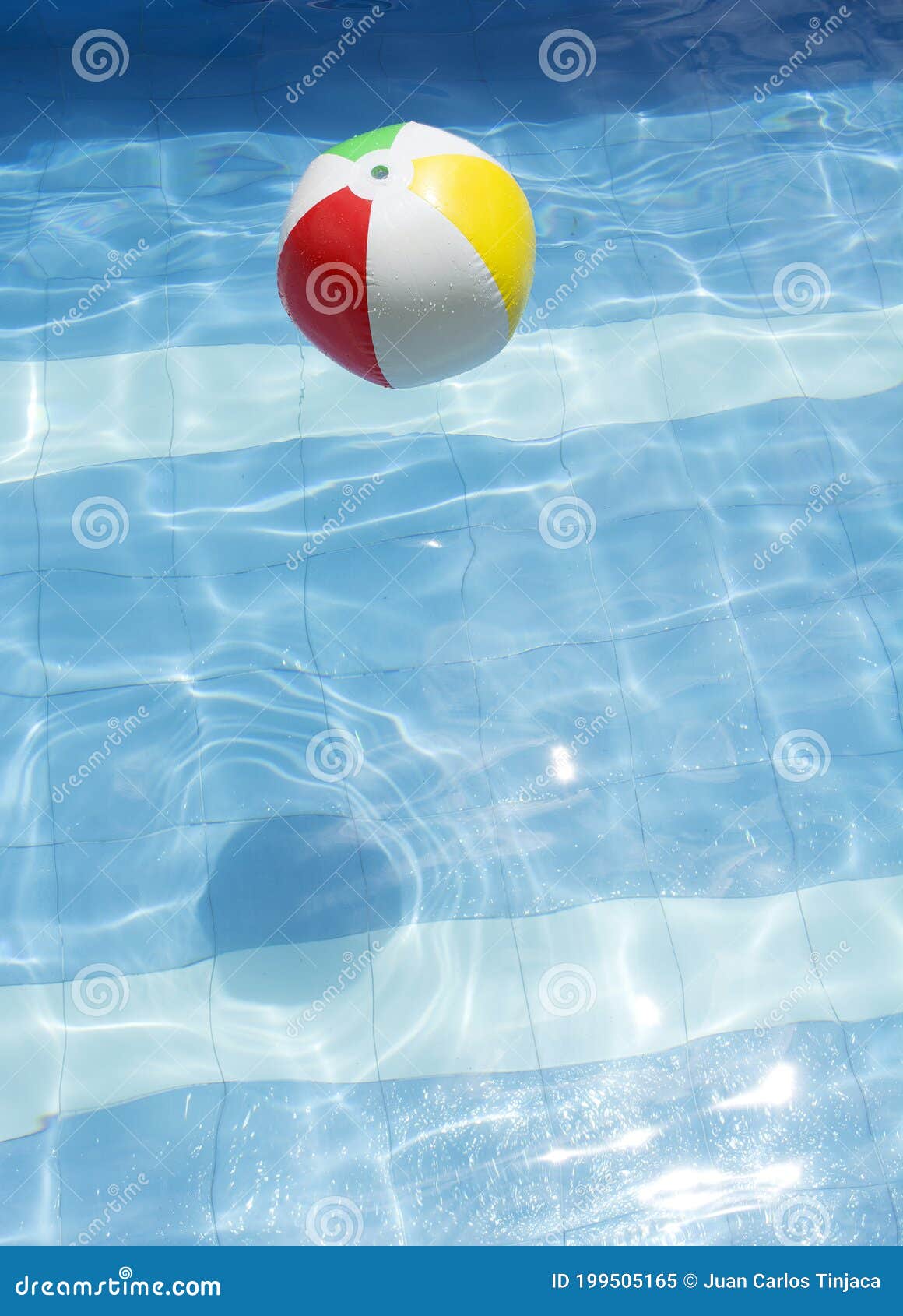 Ball Floating in a Blue Swimming Pool Stock Image - Image of swimming ...