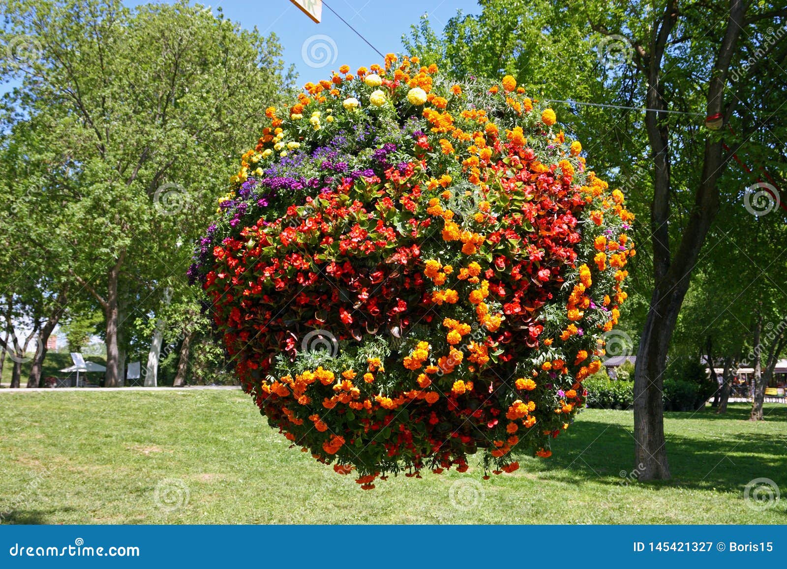 Ball of flowers stock image. Image of natural, flower - 145421327