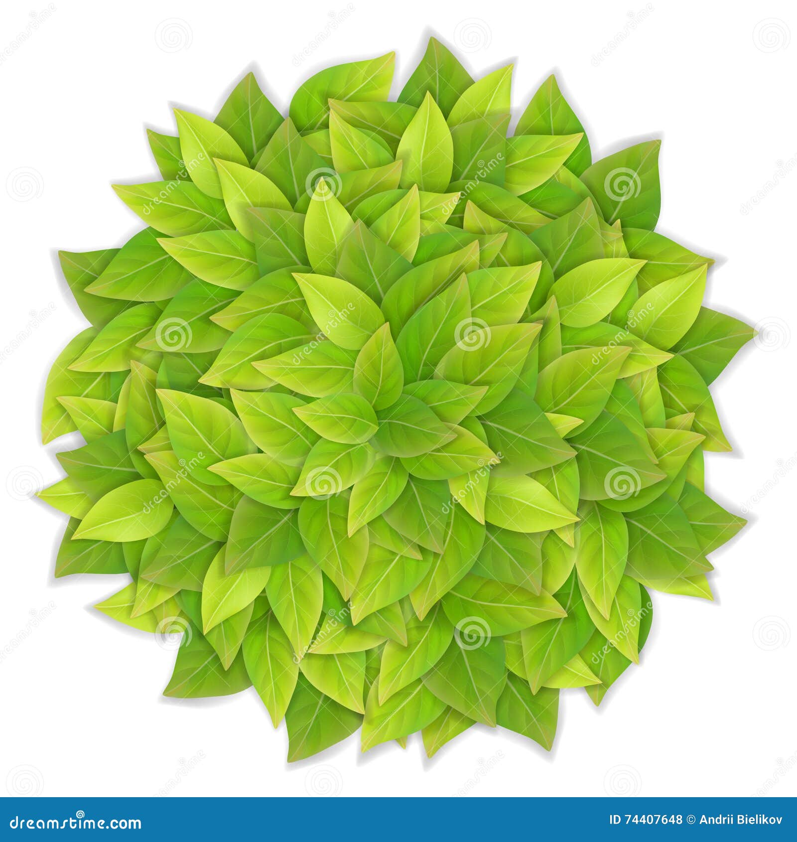 Ball green leaves stock vector. Illustration of ball - 74407648