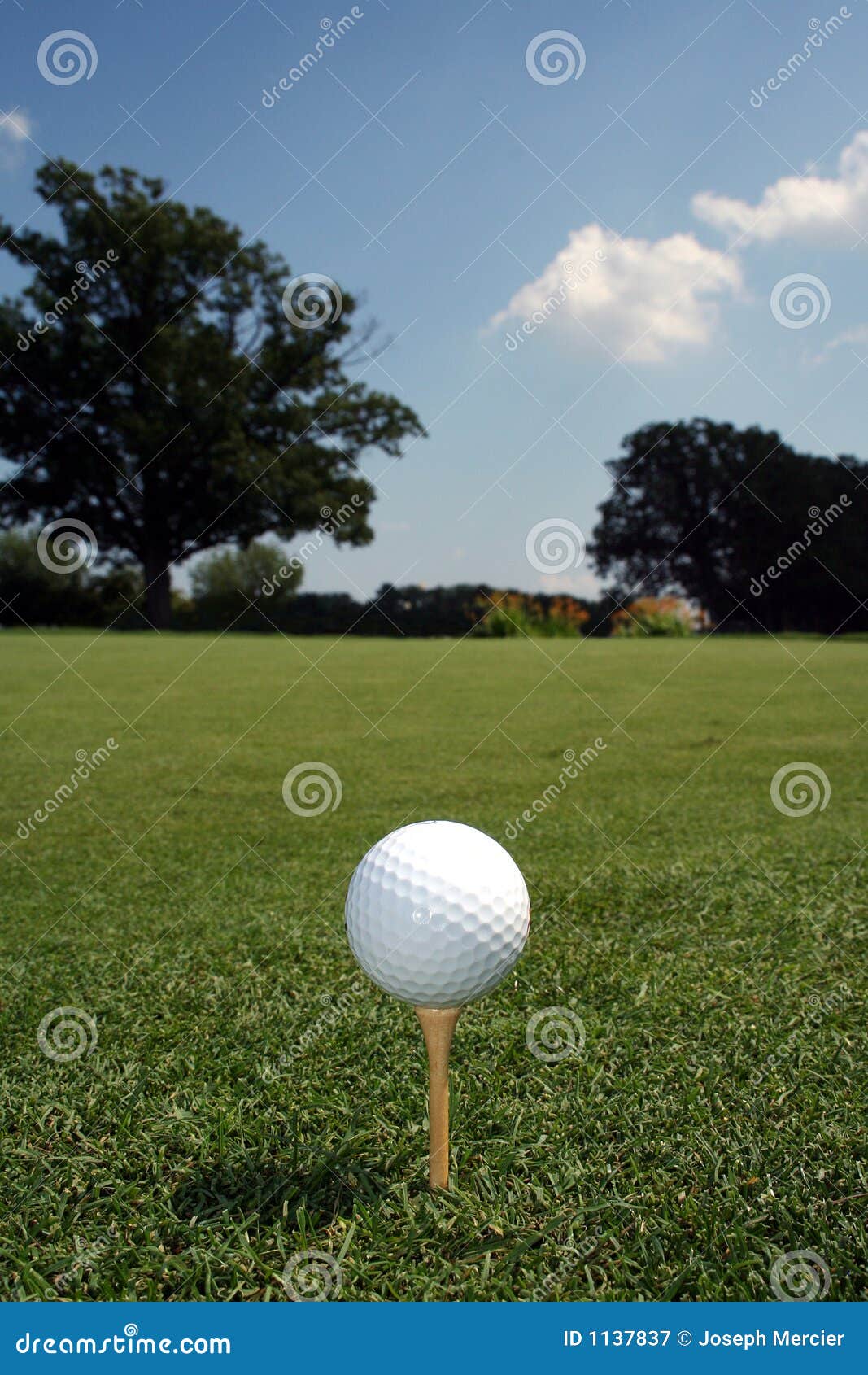 Ball on Green Vertical stock image. Image of golf, ball - 1137837