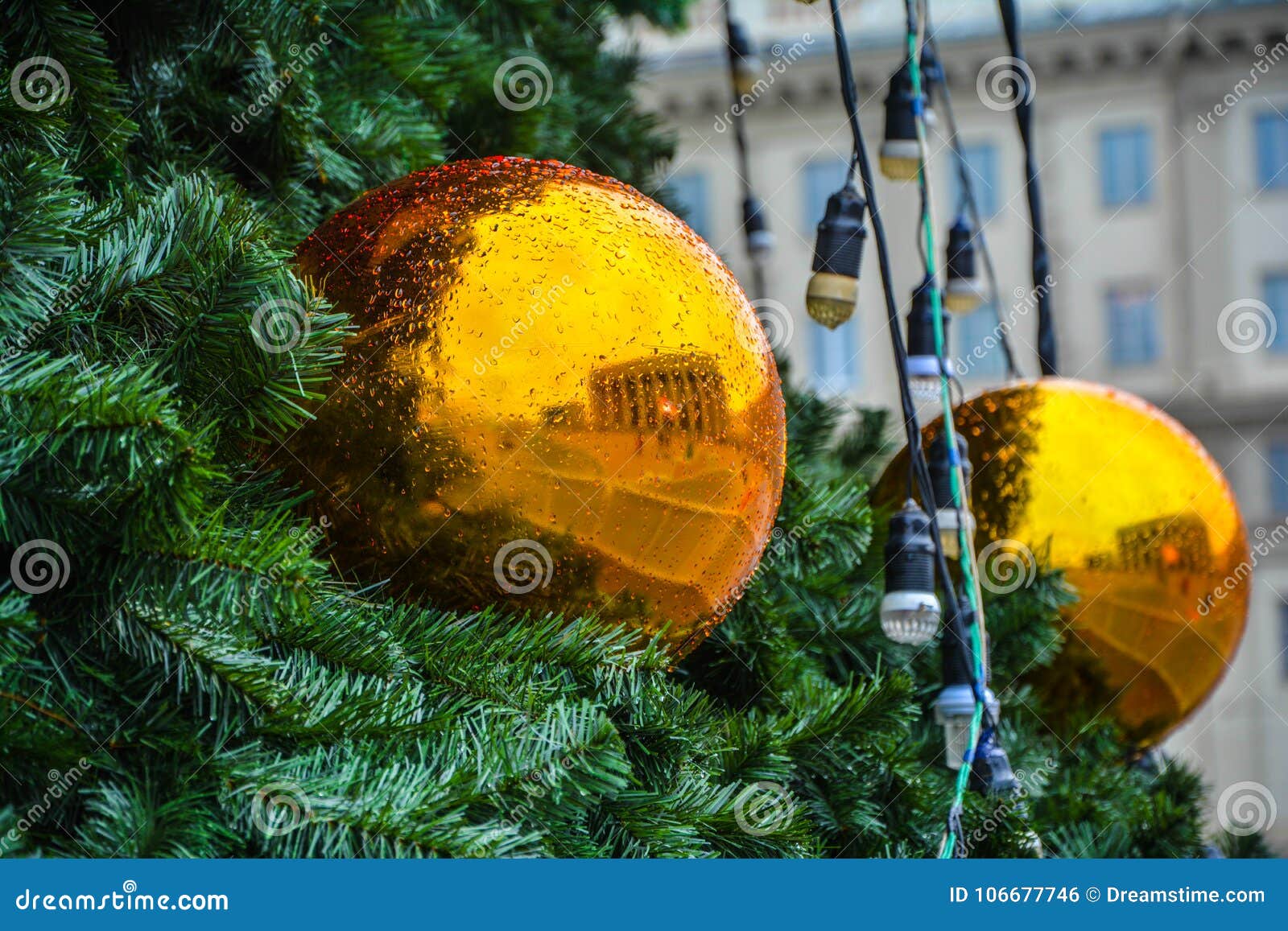 A ball lying on the tree stock photo. Image of branches - 106677746