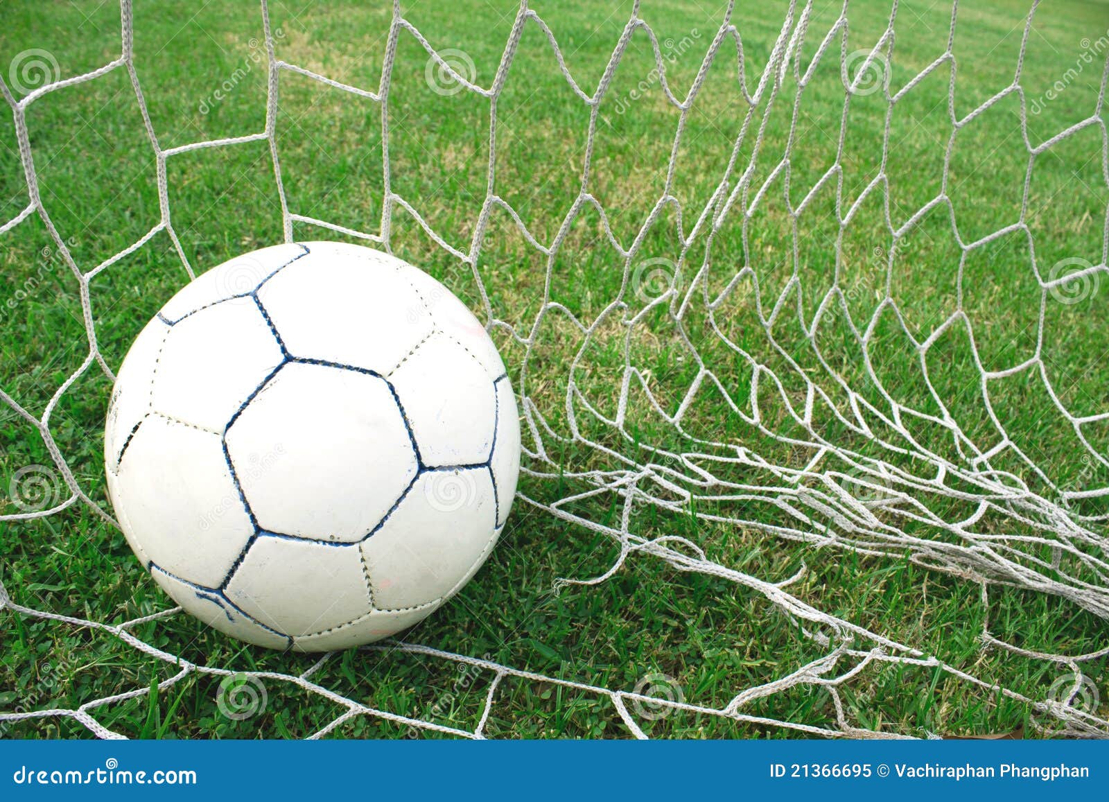 Ball in the net. stock image. Image of equipment, score - 21366695