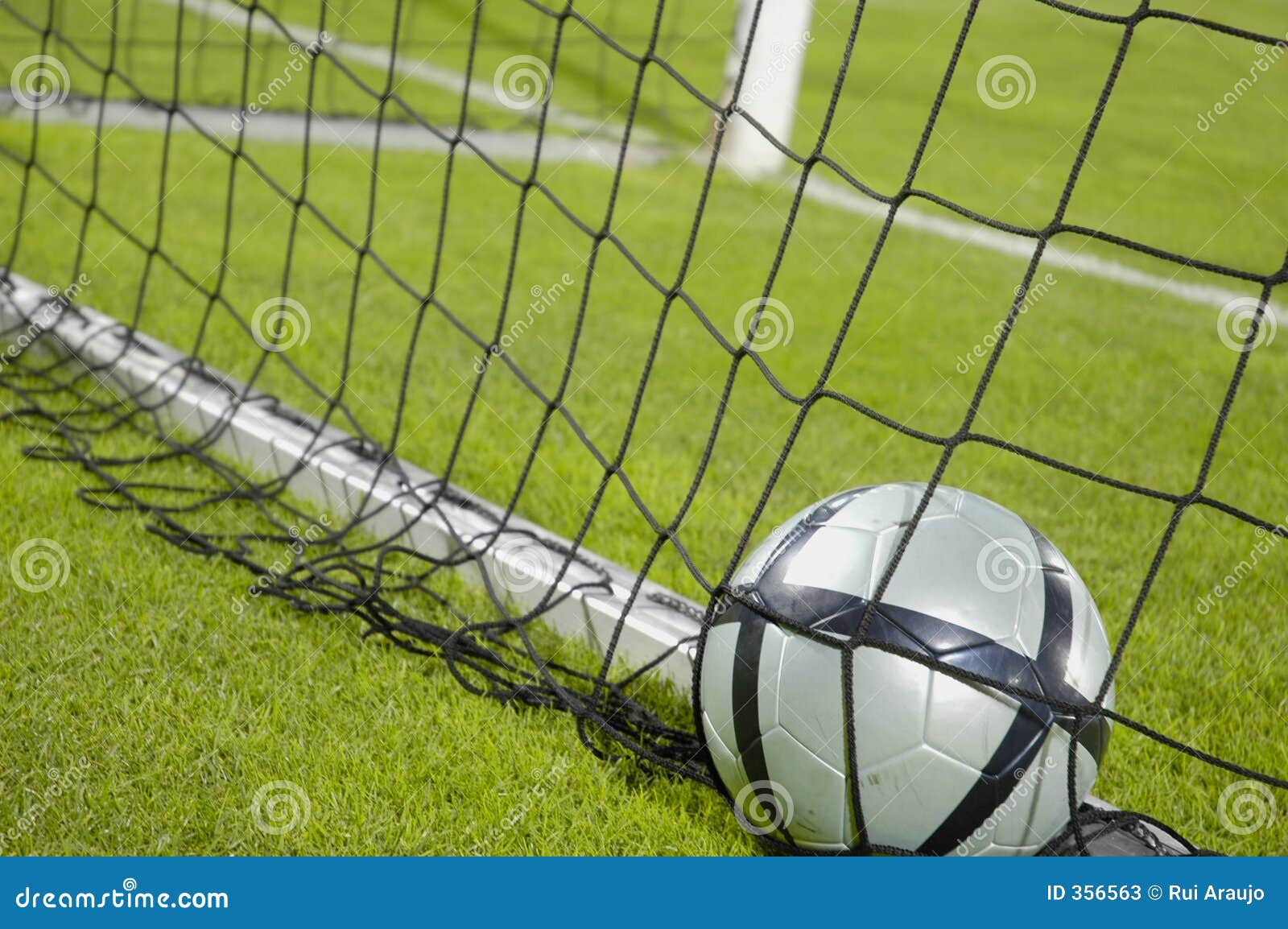 Ball in the Net stock image. Image of people, spectacular - 356563