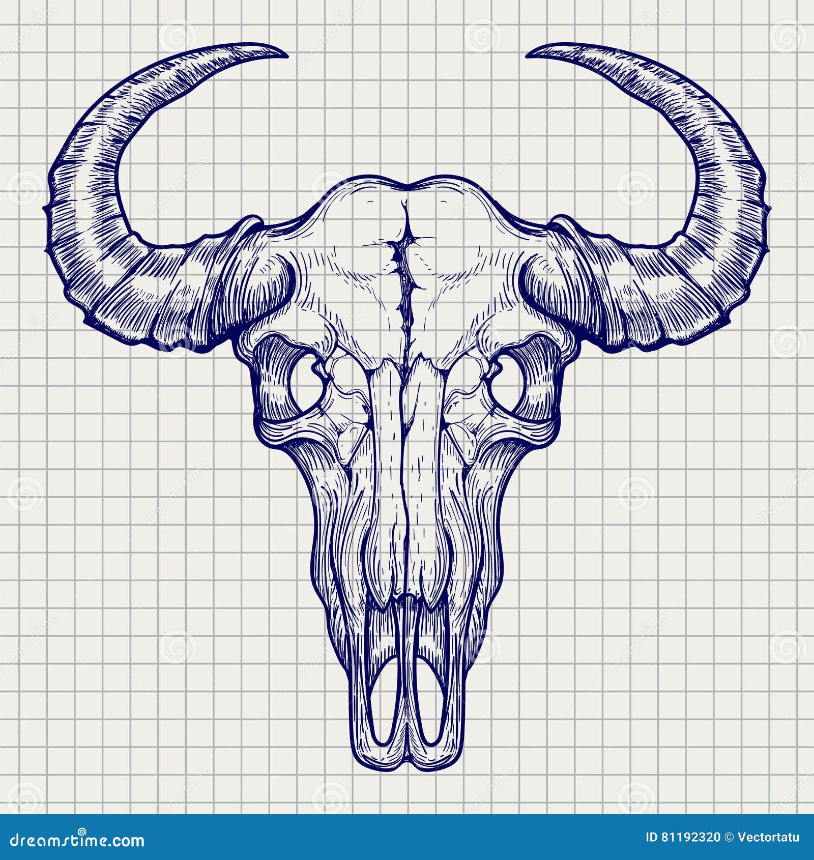 Ball Pen Buffalo Skull Sketch Stock Vector - Illustration of buffalo ...