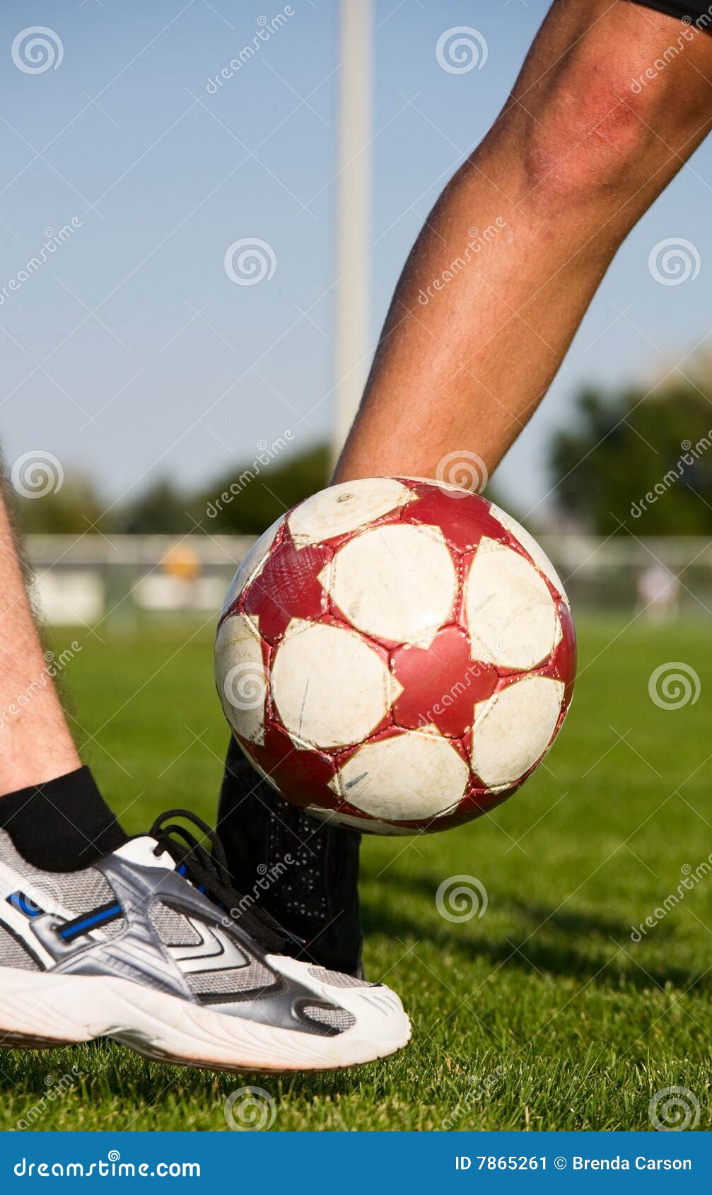 Ball in Play stock image. Image of play, pitch, fight - 7865261