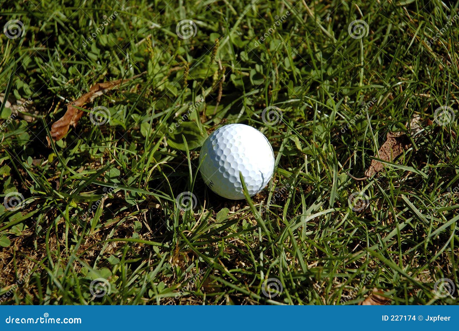 Ball In The Rough Picture. Image: 227174