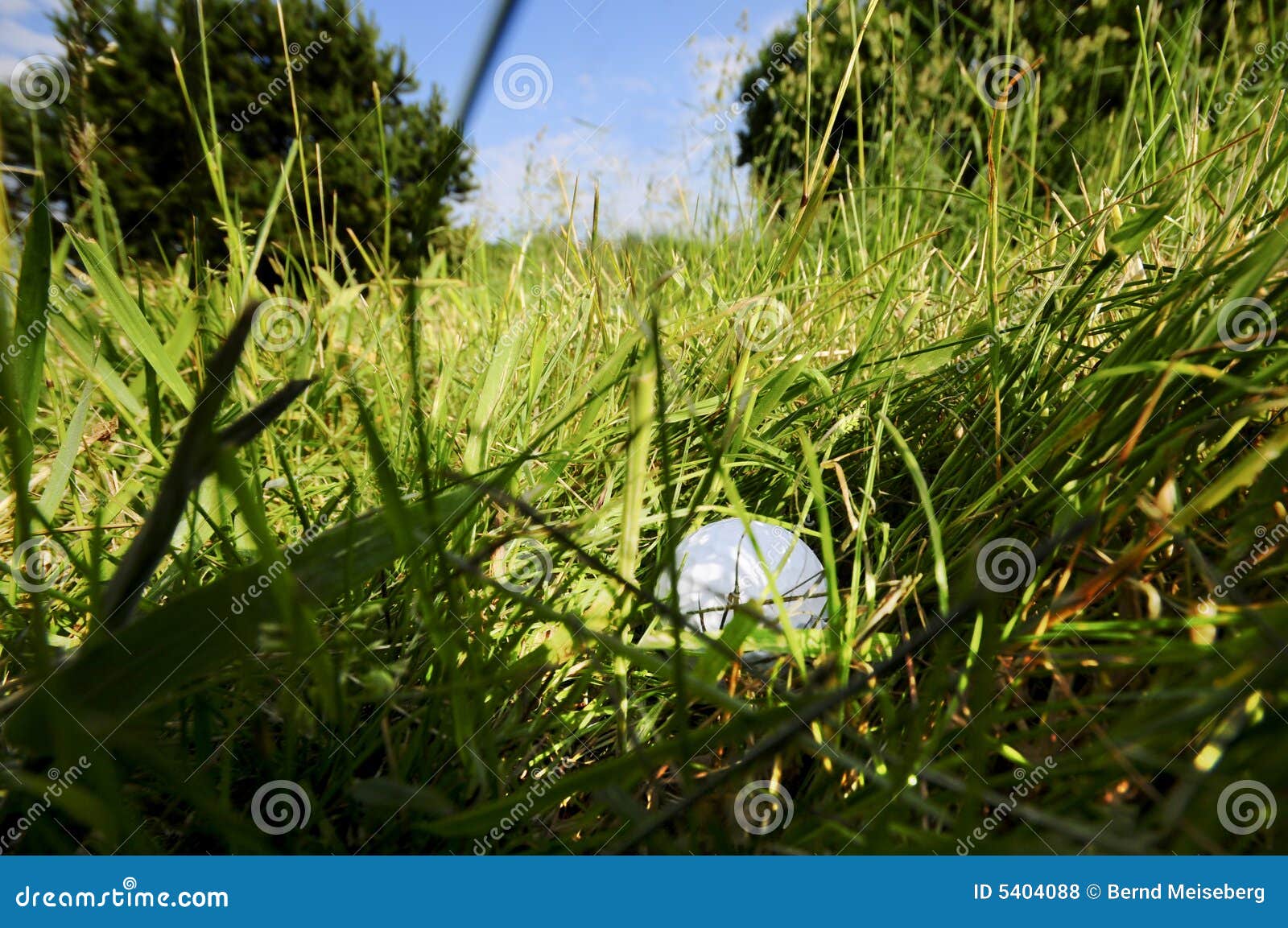 Ball in rough stock photo. Image of golf, clouds, dimples - 5404088
