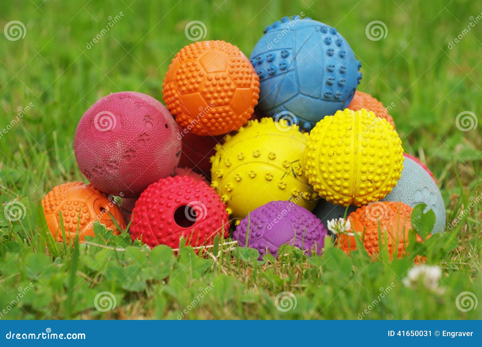 Ball toy for dogs 4 stock image. Image of soft, catch - 41650031