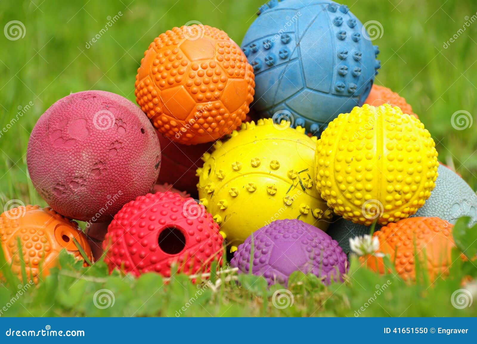 Ball toy for dogs stock photo. Image of pets, theme, catch - 41651550