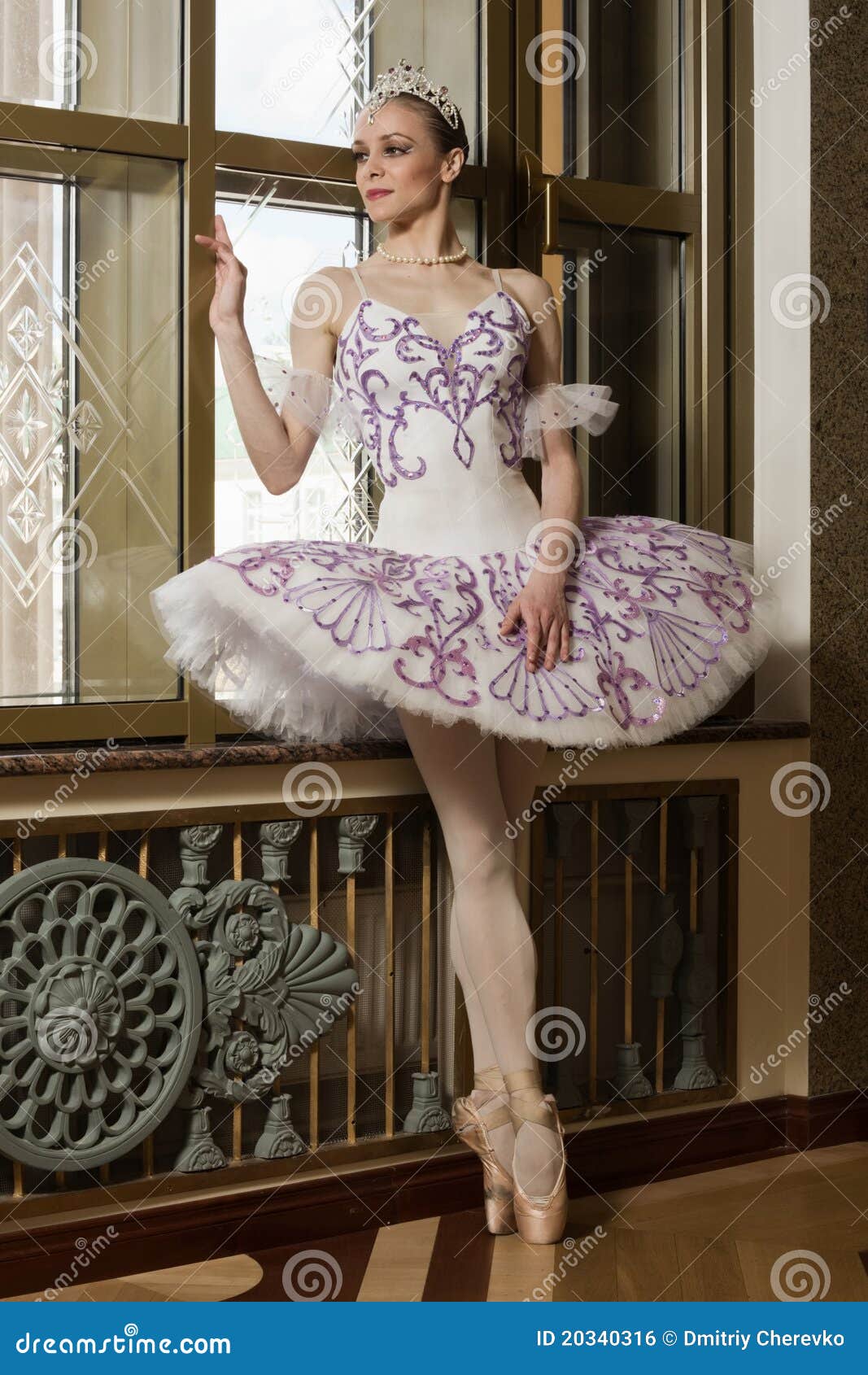 Ballerina stock photo. Image of ballerina, dress, artist - 20340316