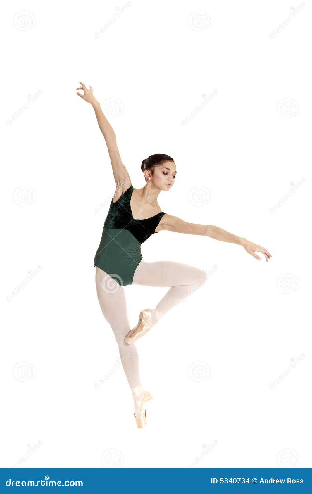 Ballerina stock photo. Image of leotard, healthy, cool - 5340734