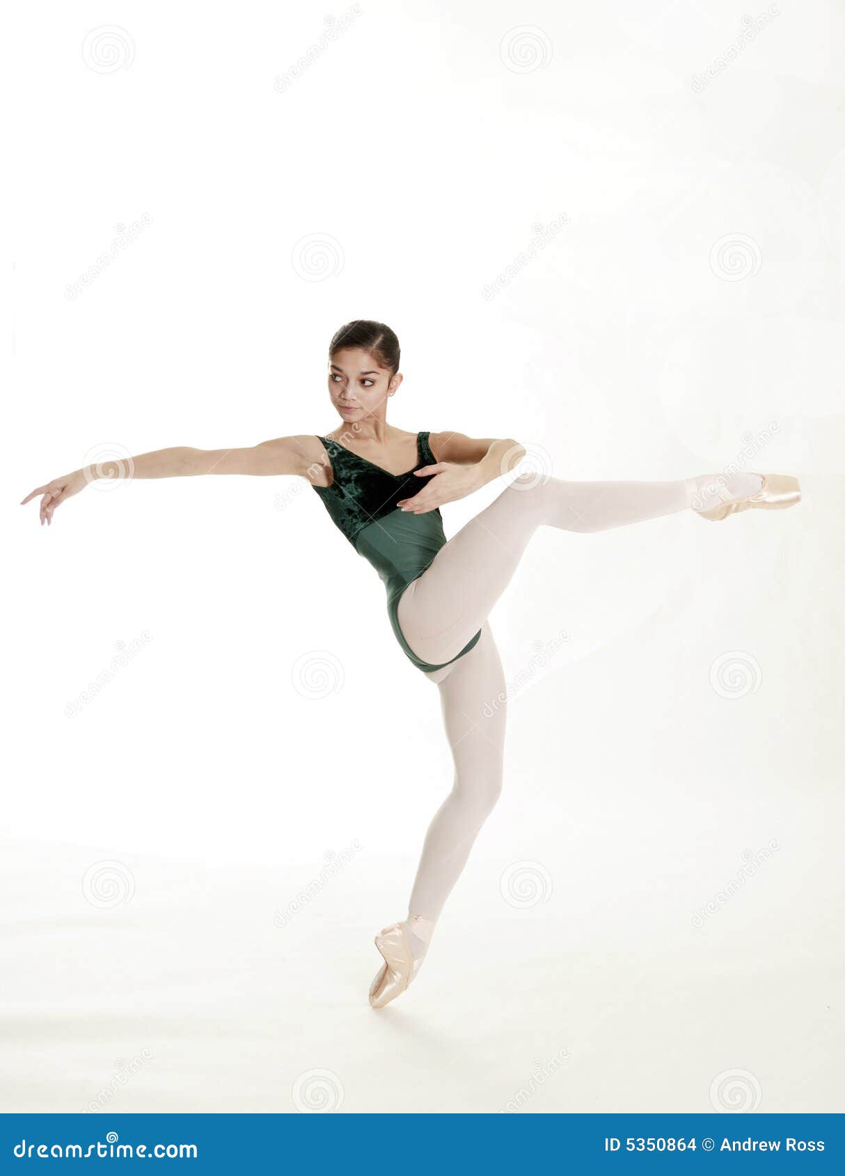 Ballerina stock photo. Image of balance, anatomy, ballet - 5350864