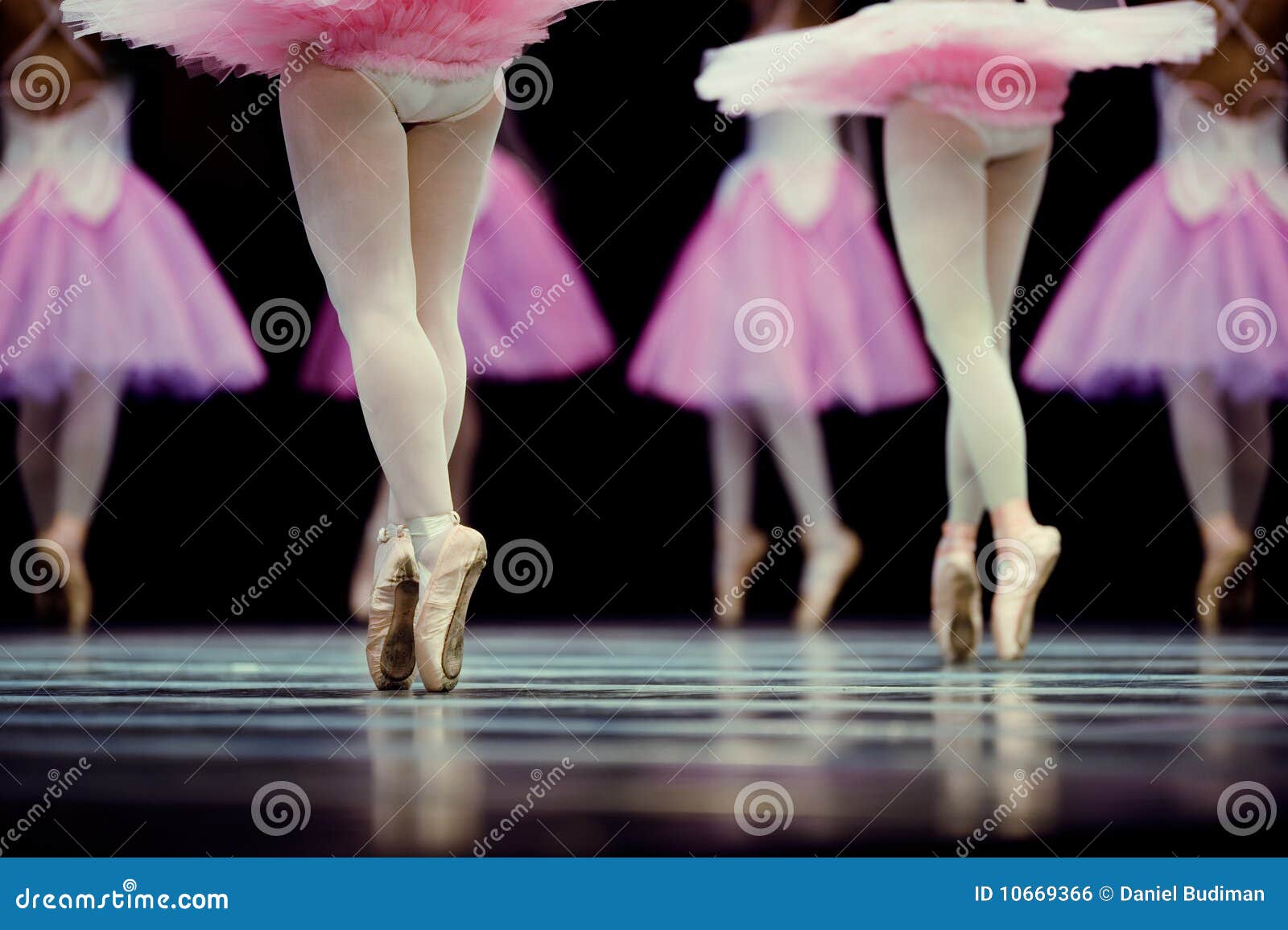 Ballerina angels stock photo. Image of grace, performer - 10669366