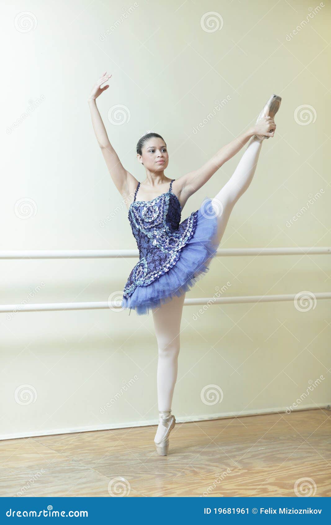 Ballerina at the Dance Studio Stock Image - Image of teen, caucasian ...