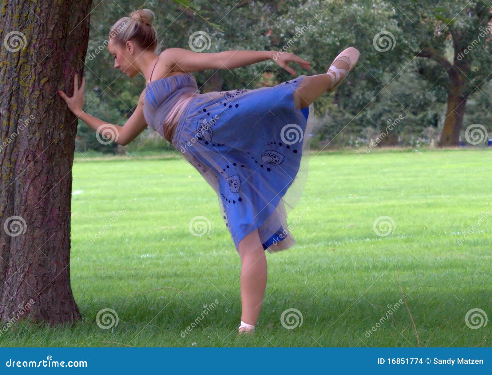 Ballerina in a Park stock photo. Image of dancing, performer - 16851774