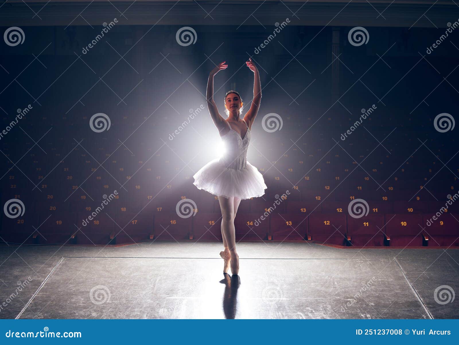 A Sport of Dedication. a Ballerina Performing Her Routine. Stock Photo ...