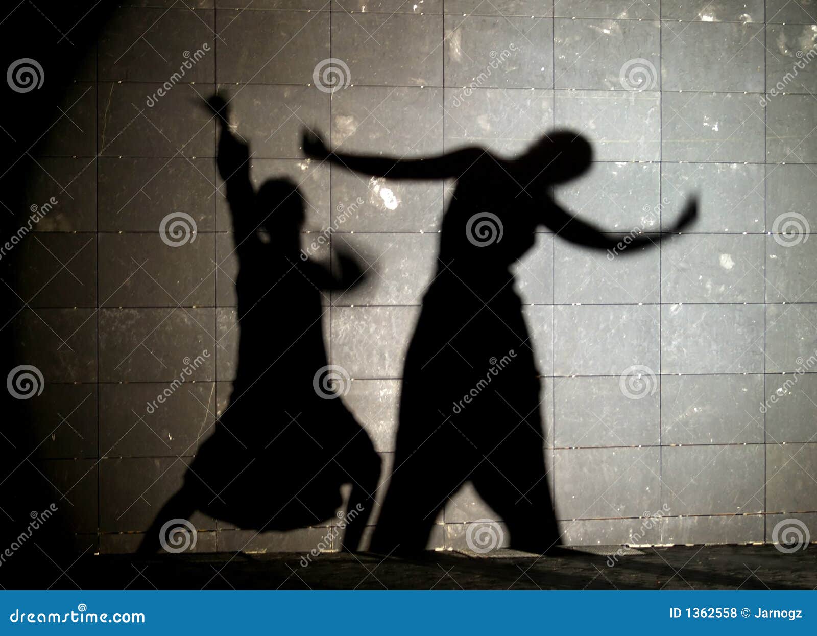Ballerina shadow stock photo. Image of artist, dancing - 1362558