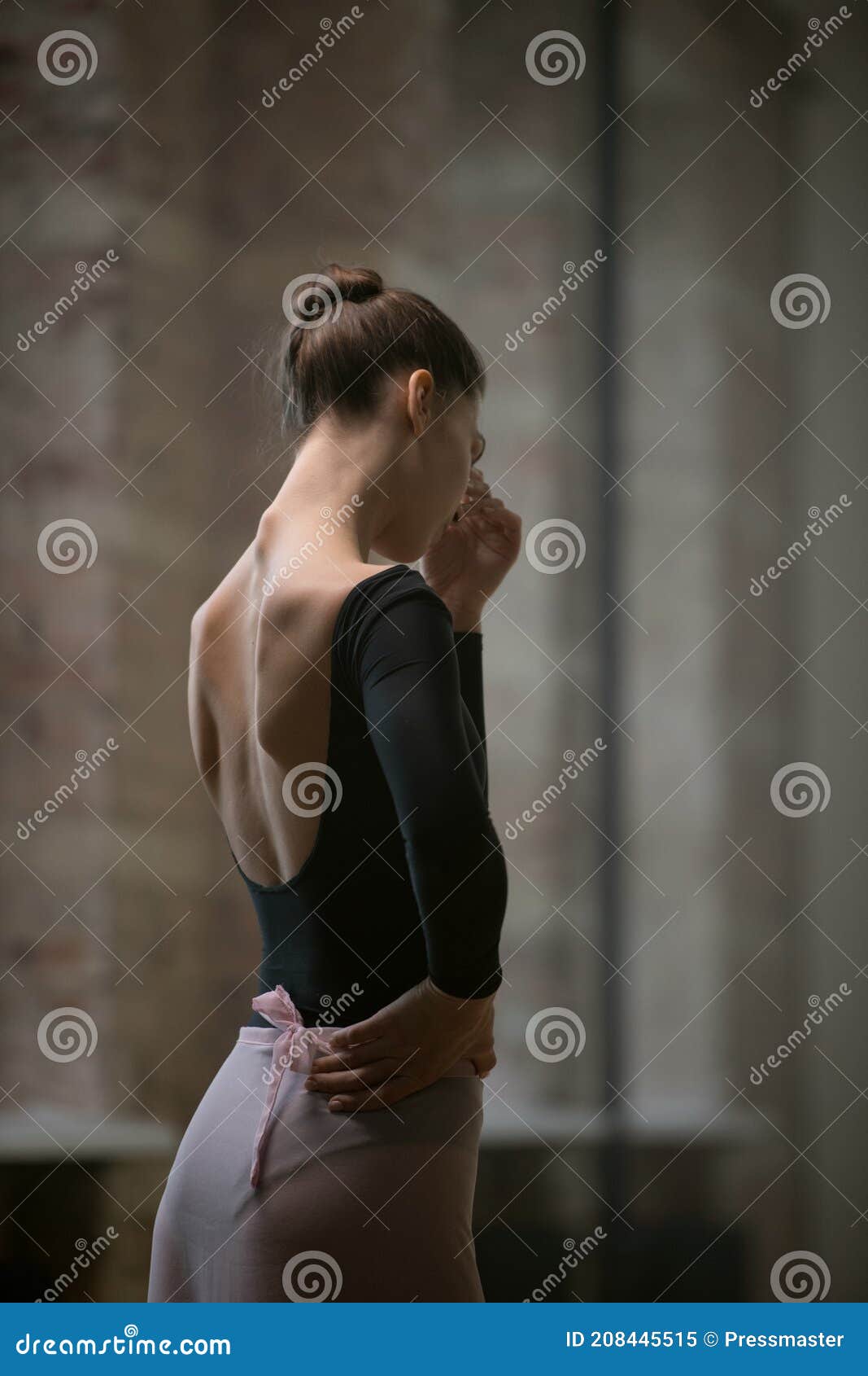 Ballerina Standing in Dance Studio Stock Image - Image of grace, adult ...