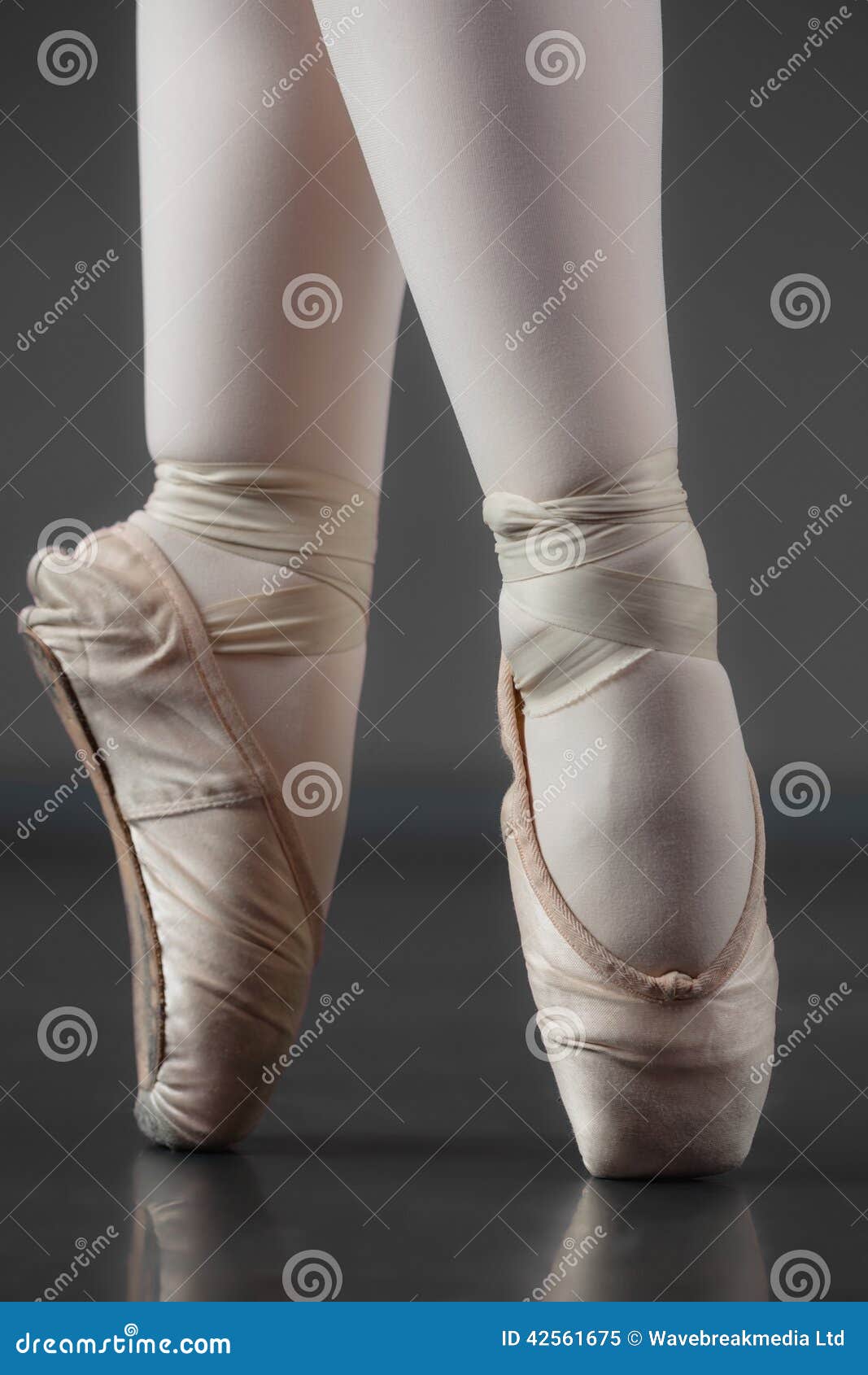 Ballerina Standing En Pointe in Ballet Slippers Stock Image - Image of ...
