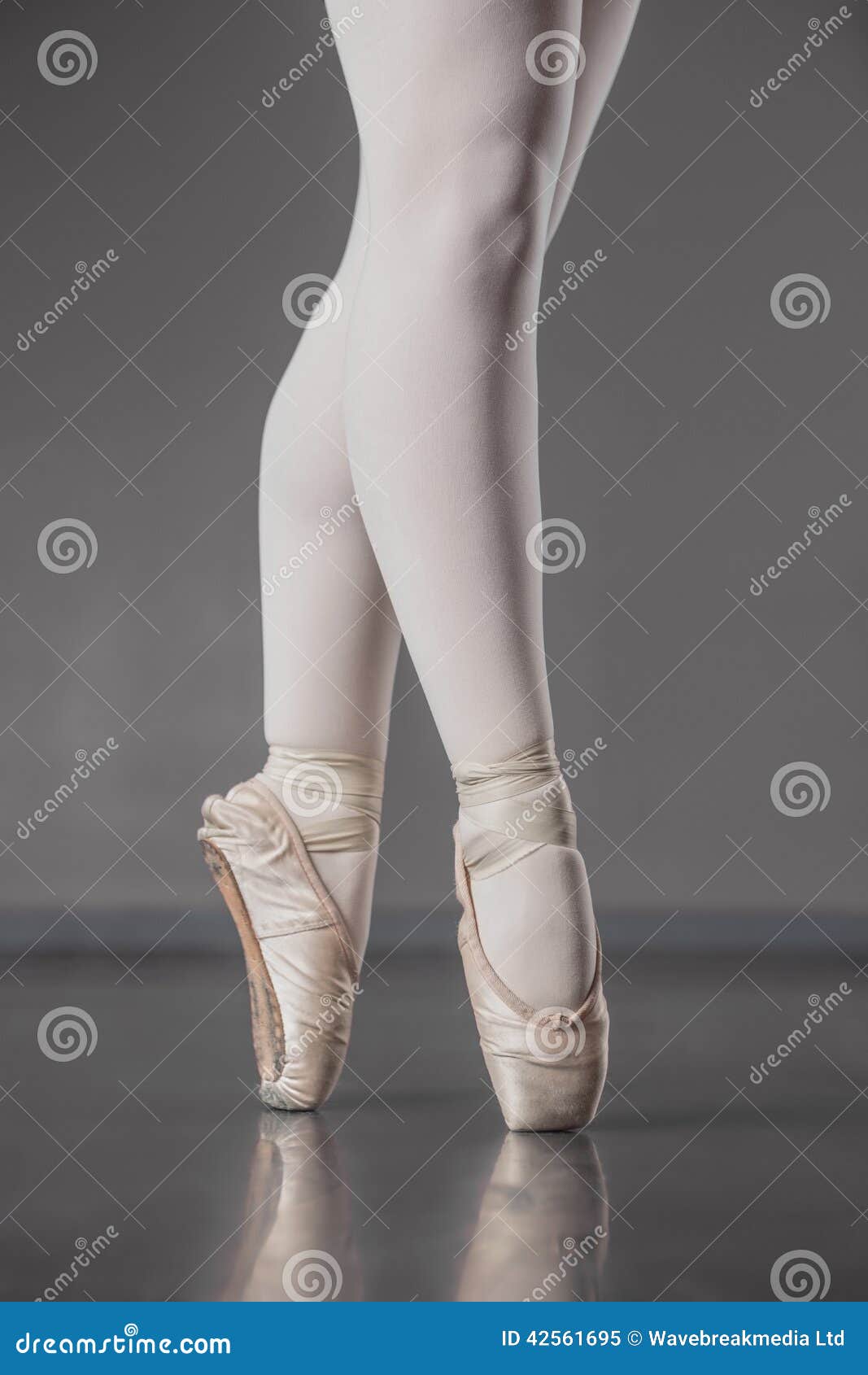 Ballerina Standing En Pointe in Ballet Slippers Stock Image - Image of ...