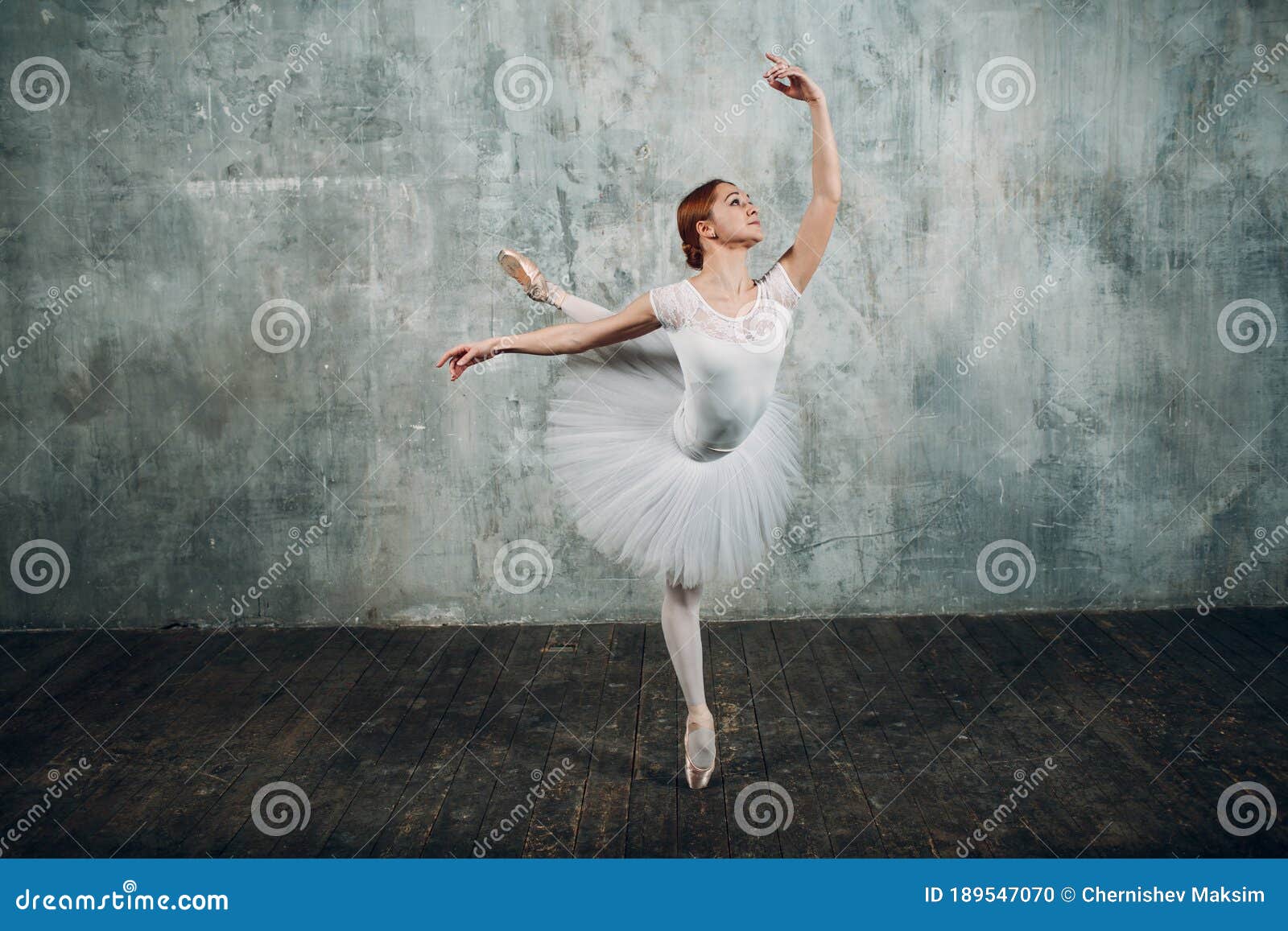 Ballet in Beautiful Style. Modern Ballet Stock Photo - Image of classic ...