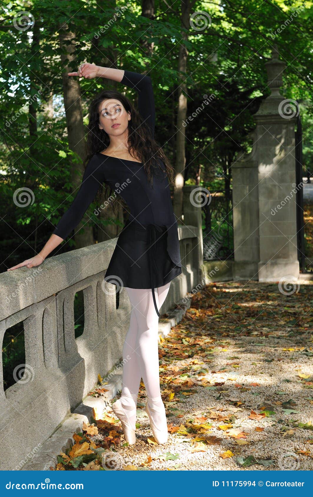 Ballet on the bridge stock photo. Image of happy, graceful - 11175994