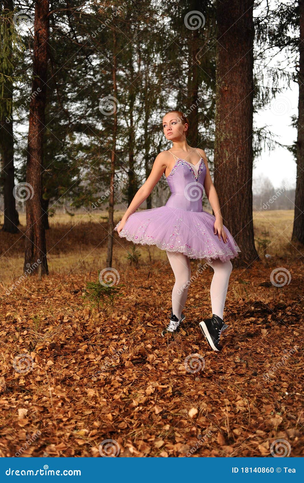 Ballet dancer stock photo. Image of costume, forest, dancer - 18140860