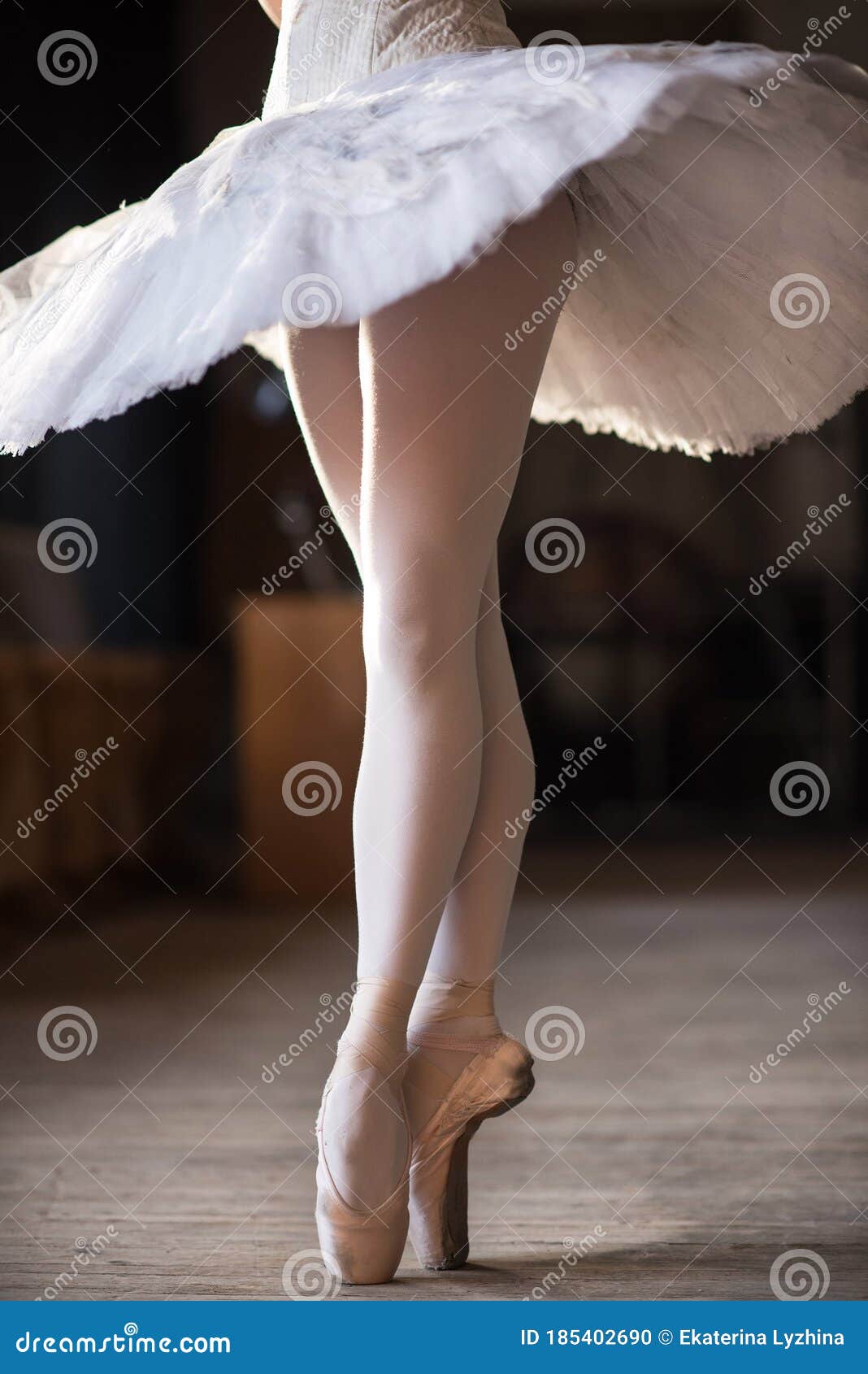 Ballet Dancer and Her Amazing Legs Stock Photo - Image of thigh, model ...