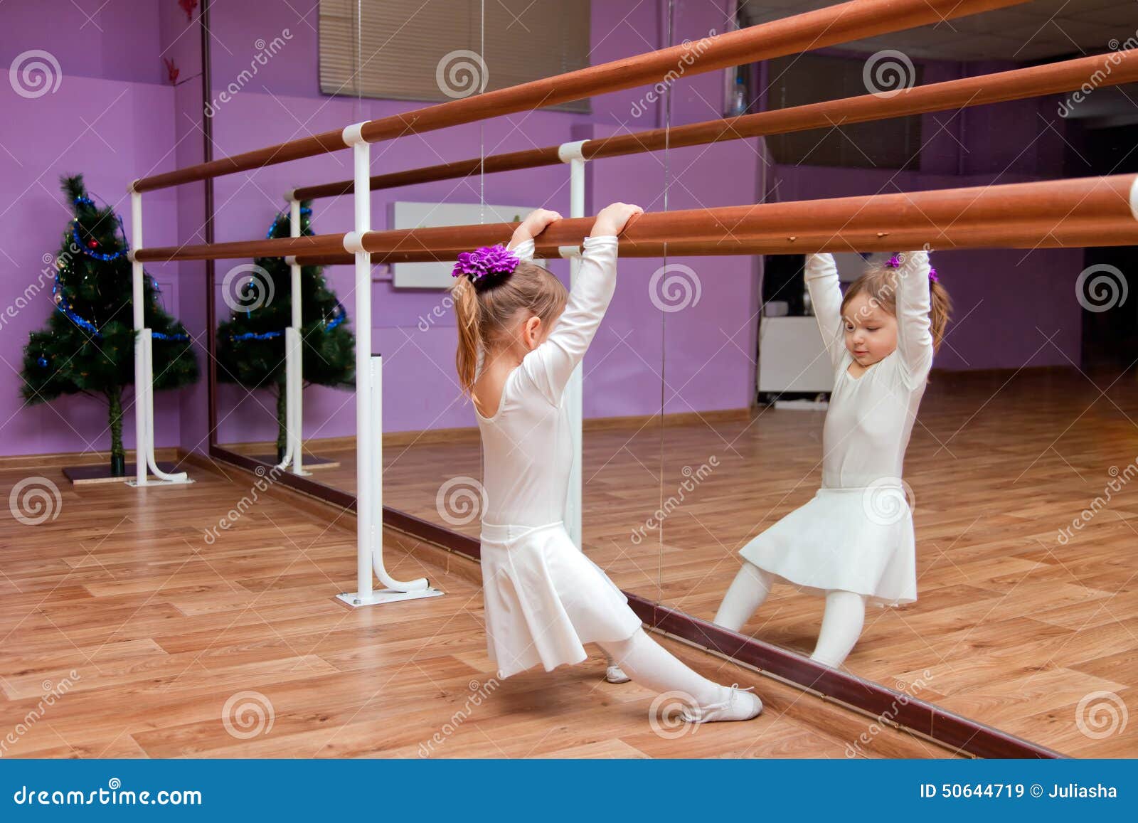 Handrail Used In Ballet Practice at Leo Rey blog