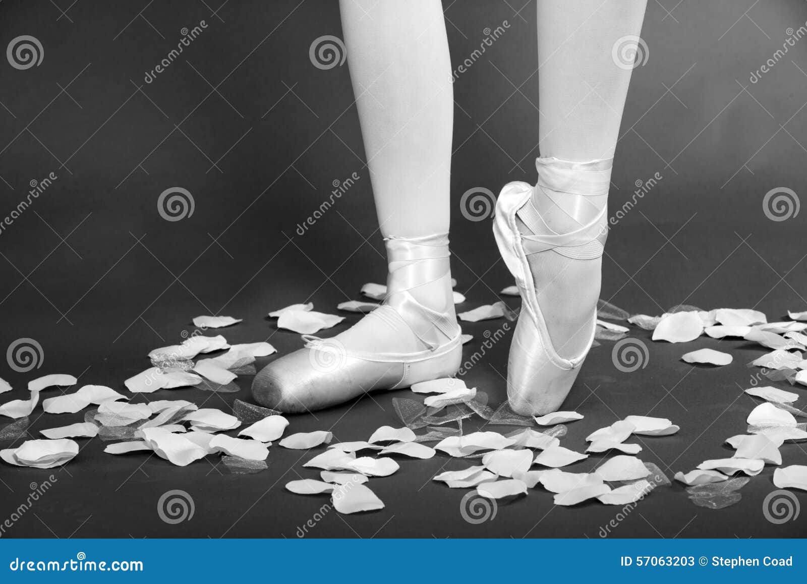 Ballet Dancer on Pointe stock image. Image of pointe - 57063203