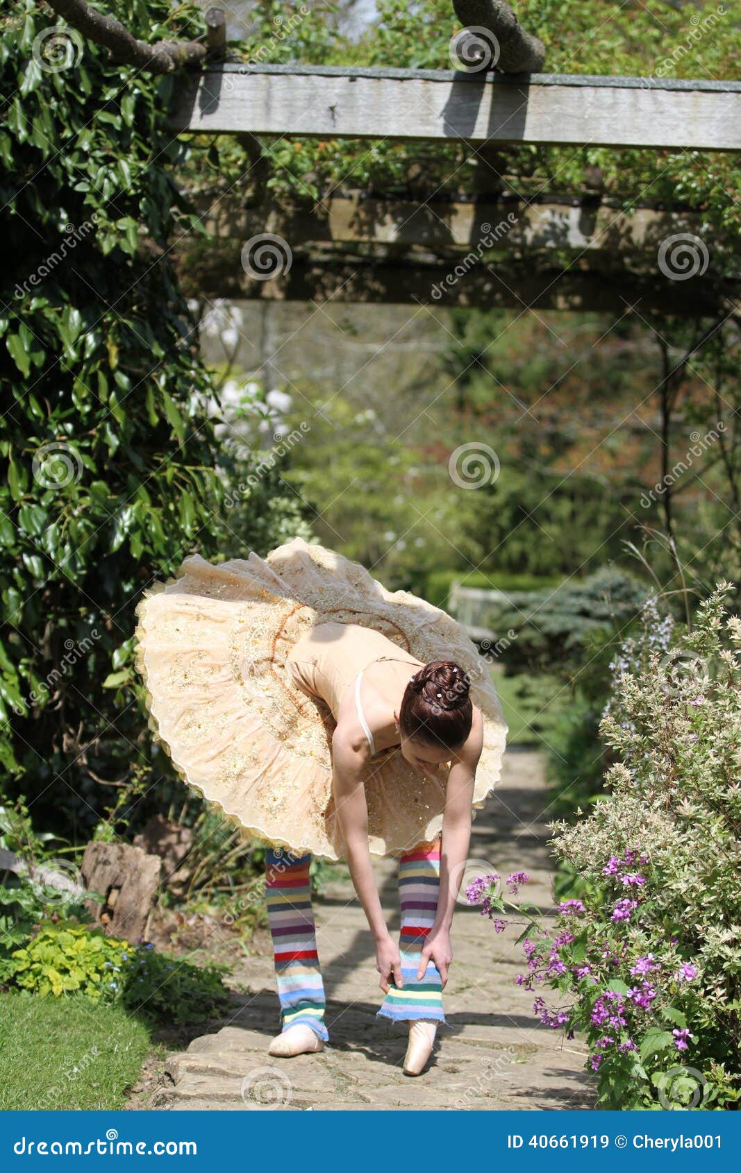 Ballet Dancer between Takes Stock Image - Image of ballet, tutu: 40661919