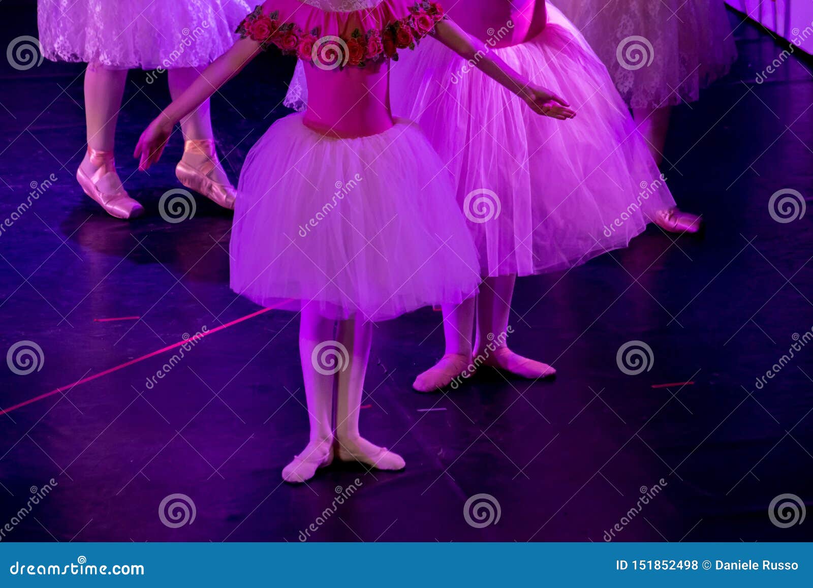 Ballet Dancers Under Purple Light with Classical Dresses Performing a ...